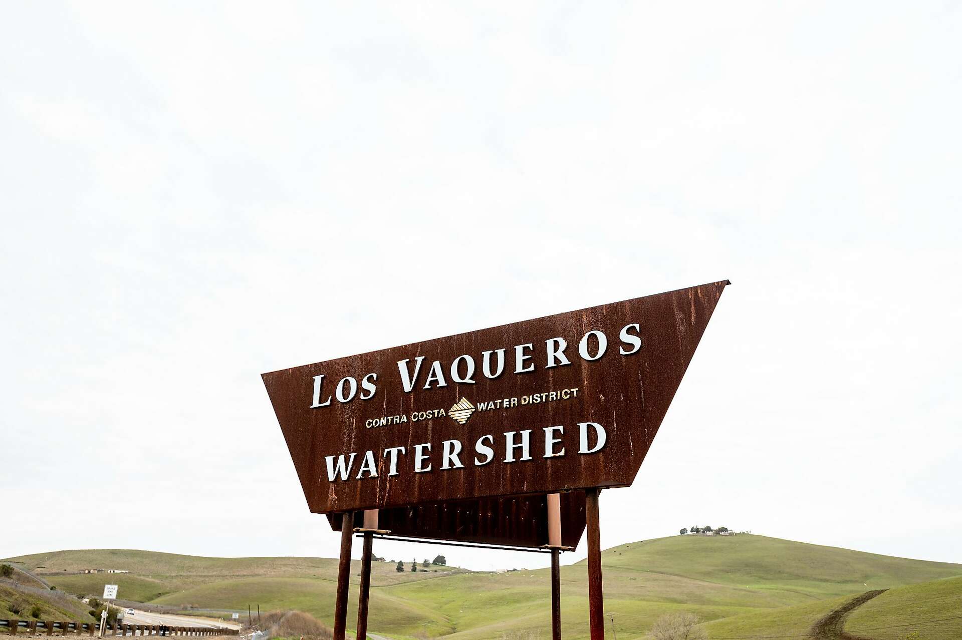 Golden eagles are on spectacular display at East Bay’s Los Vaqueros ...
