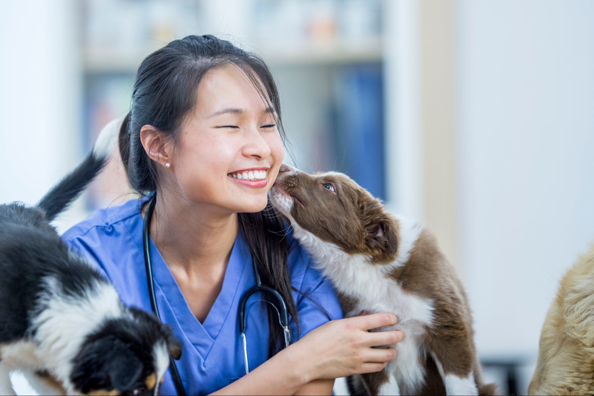 How to Make Veterinarian Team Members Feel Valued