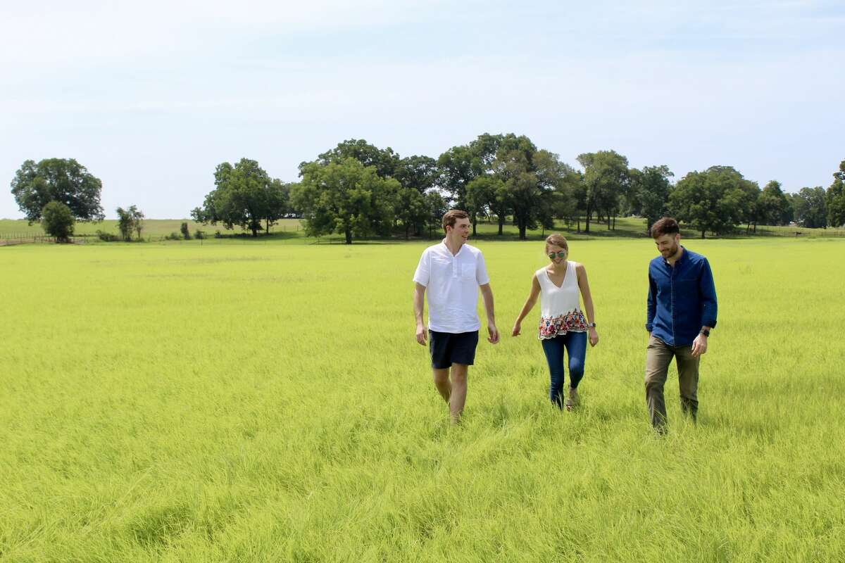 Houston restaurant expands outside downtown to West U area