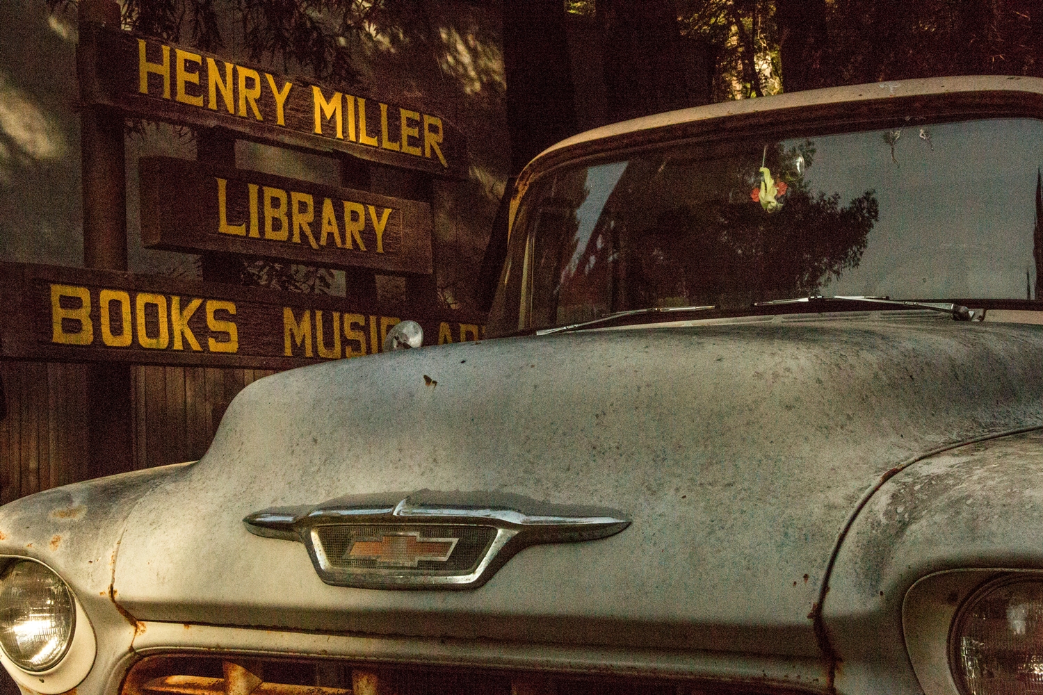 Beloved Big Sur institution hangs books from tree branches in bid to ...