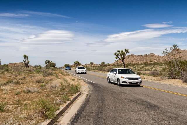 Bracing for what may be Joshua Tree's busiest spring ever, rangers ...