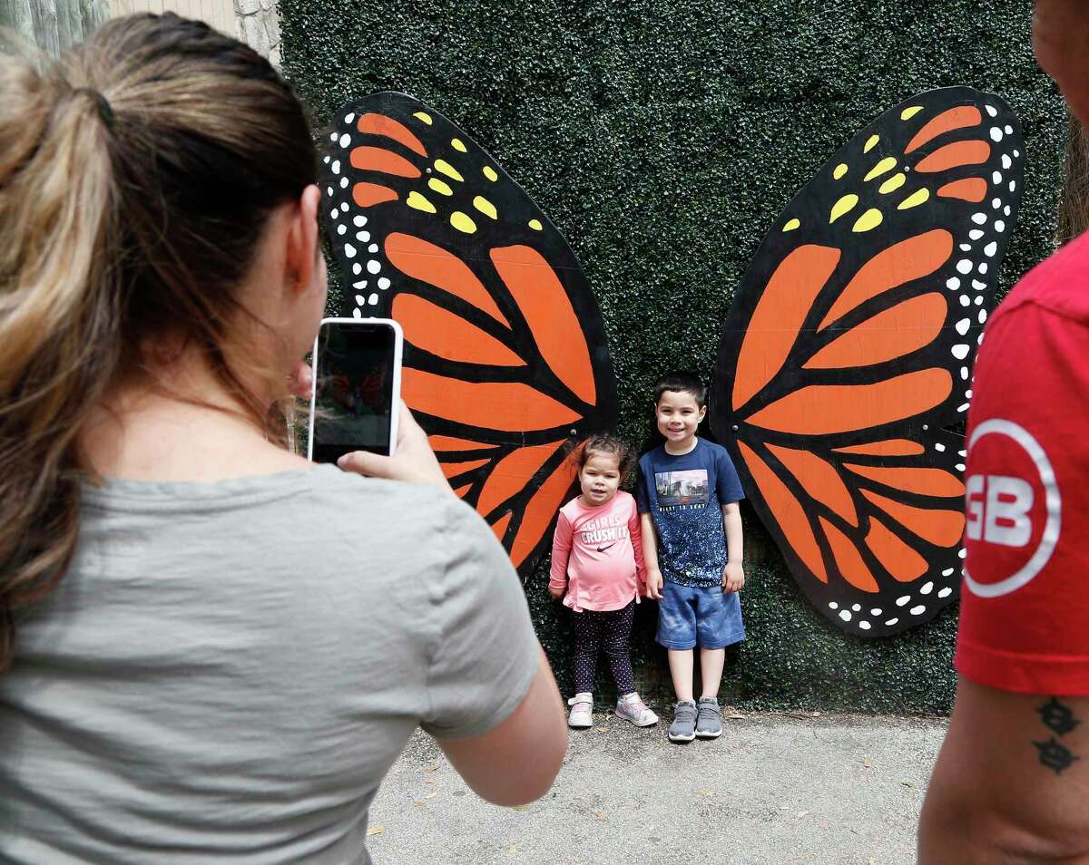 San Antonio Zoo celebrates monarch butterflies