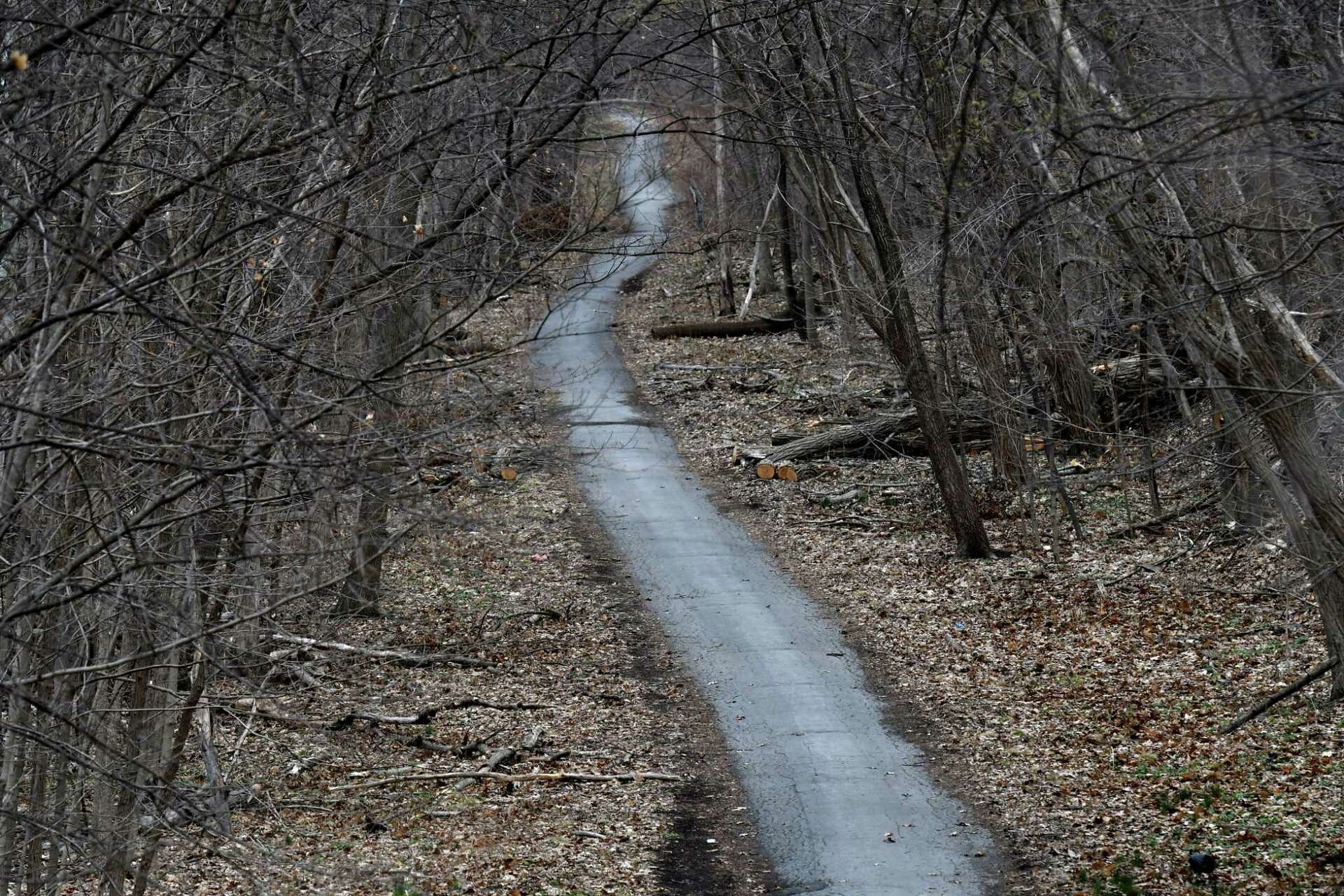 New map of Troy trails offers guide to adventures
