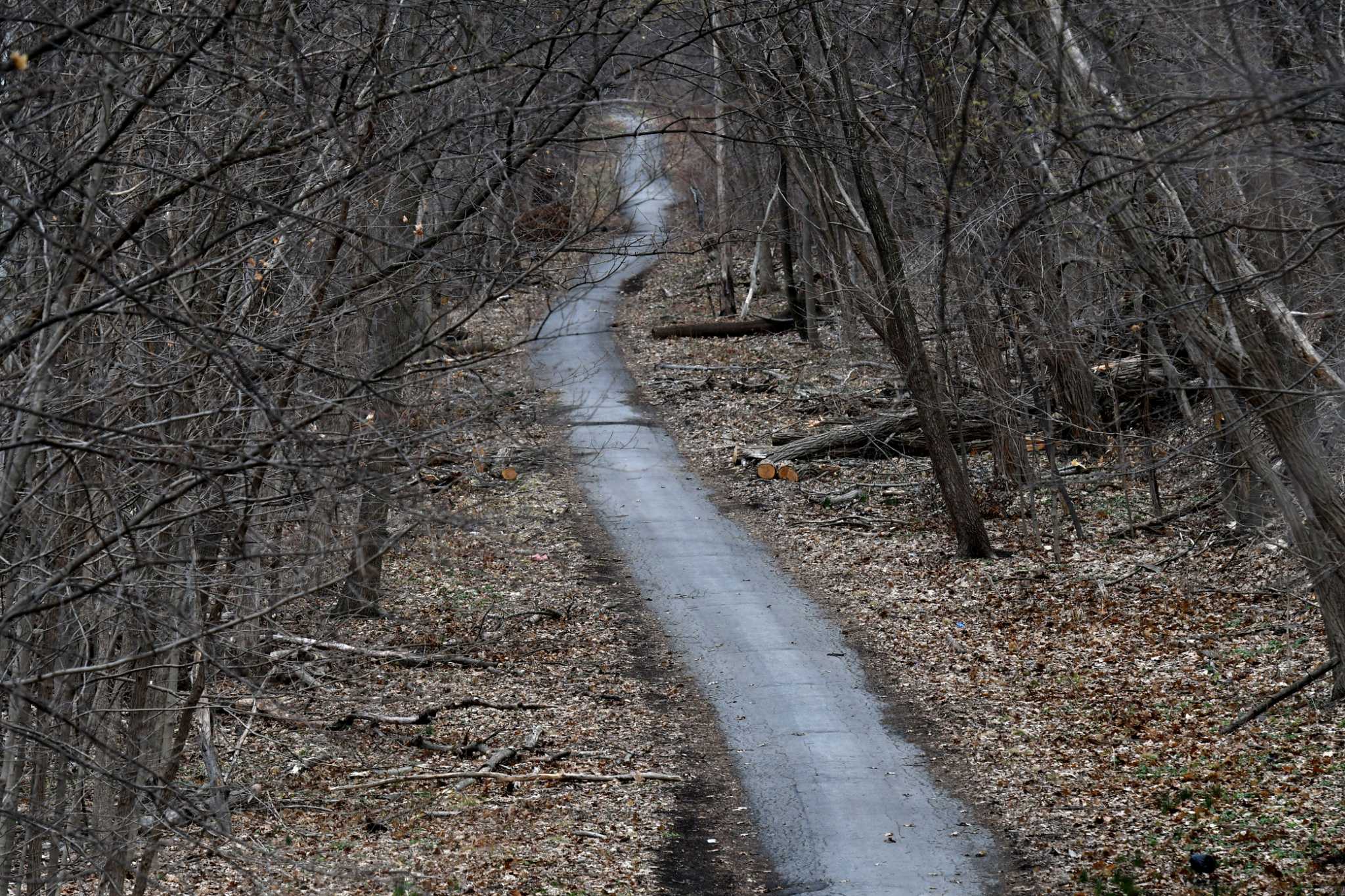 New map of Troy trails offers guide to adventures