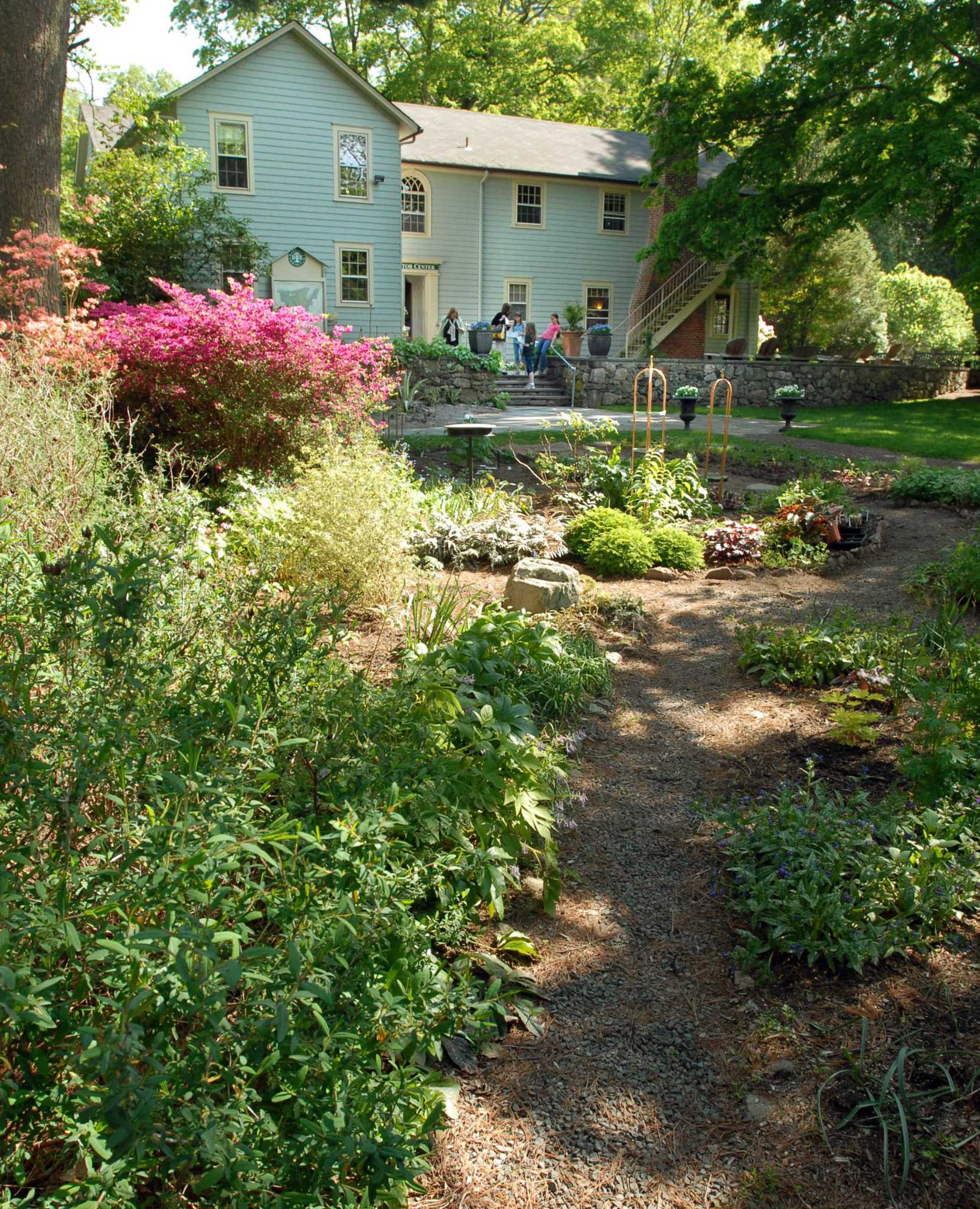 Master gardeners spill their tips and tricks: 5 ways to bring your ...