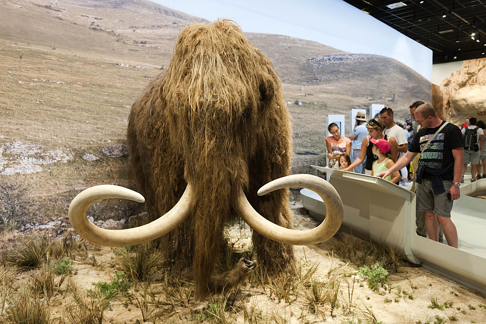 This SF counterculture icon is trying to bring the woolly mammoth back ...