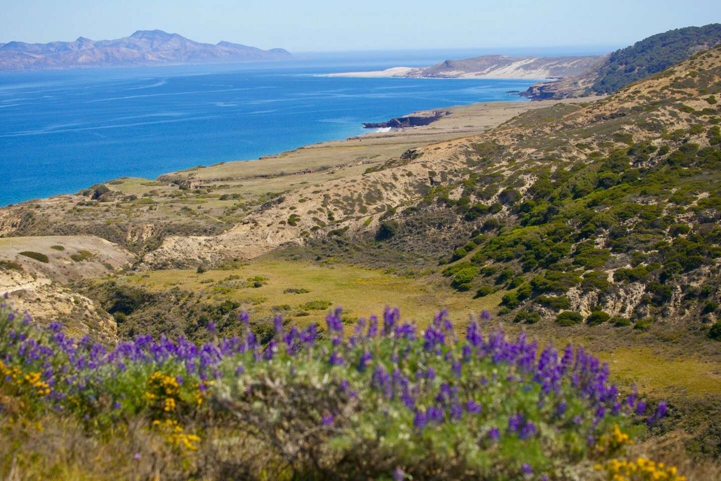 Island fire at Calif. national park burns over 10,000 acres