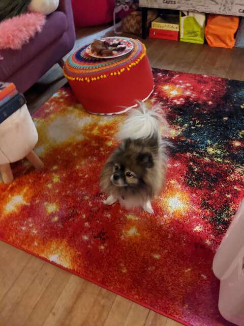 What caught my eye: Troy home a dazzling spectacle of local art