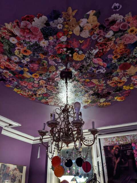 What caught my eye: Troy home a dazzling spectacle of local art