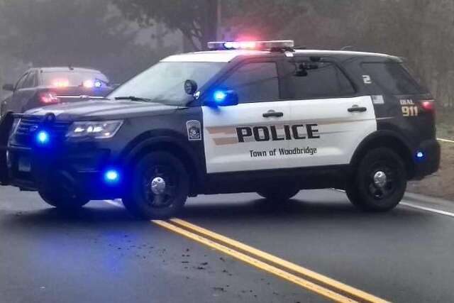 $5K reward offered for info on dead dogs left in Woodbridge: officials
