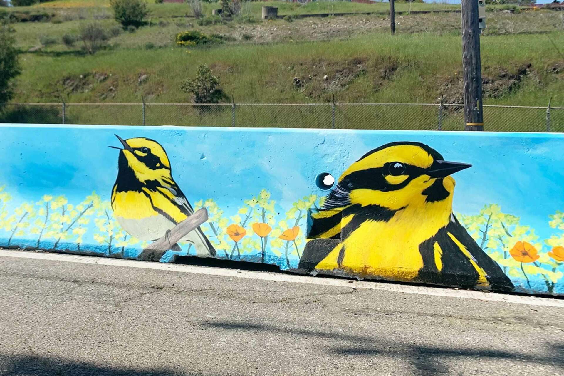 SF’s newest murals are a love letter to Bayview-Hunters Point