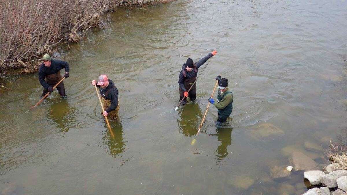Tom Lounsbury: Thumb spring sucker-fishing at its best