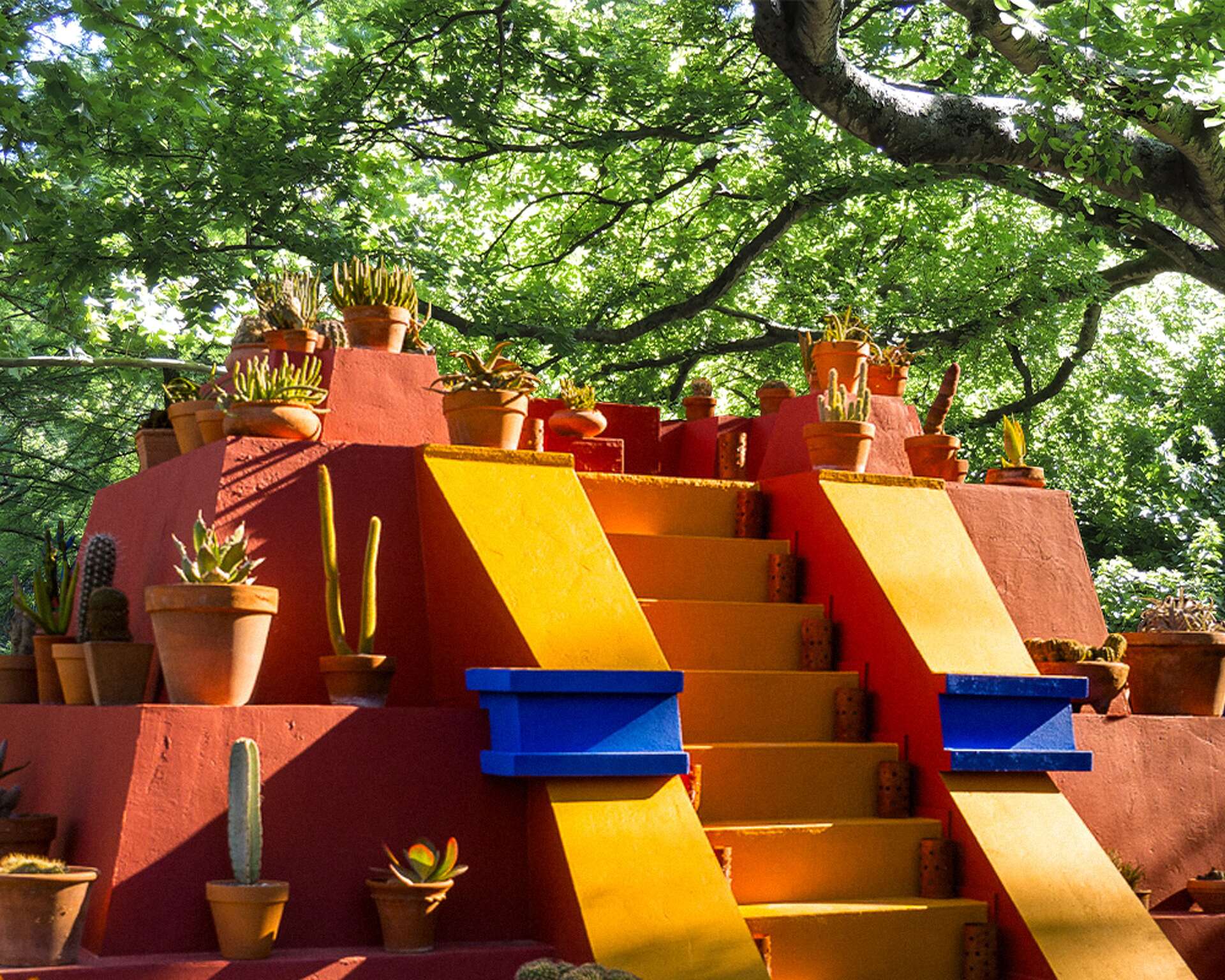 Celebrate Frida Kahlo at outdoor exhibition at Botanical Garden