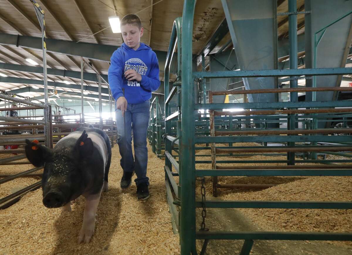 New ag barn, 8 new schools top needs in Conroe ISD's $2B bond proposal