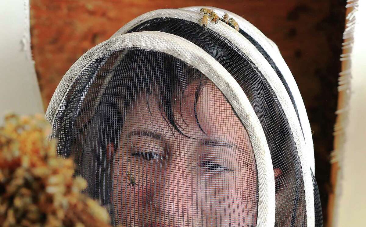 What you need to know about beehive removal and relocation, and why it ...