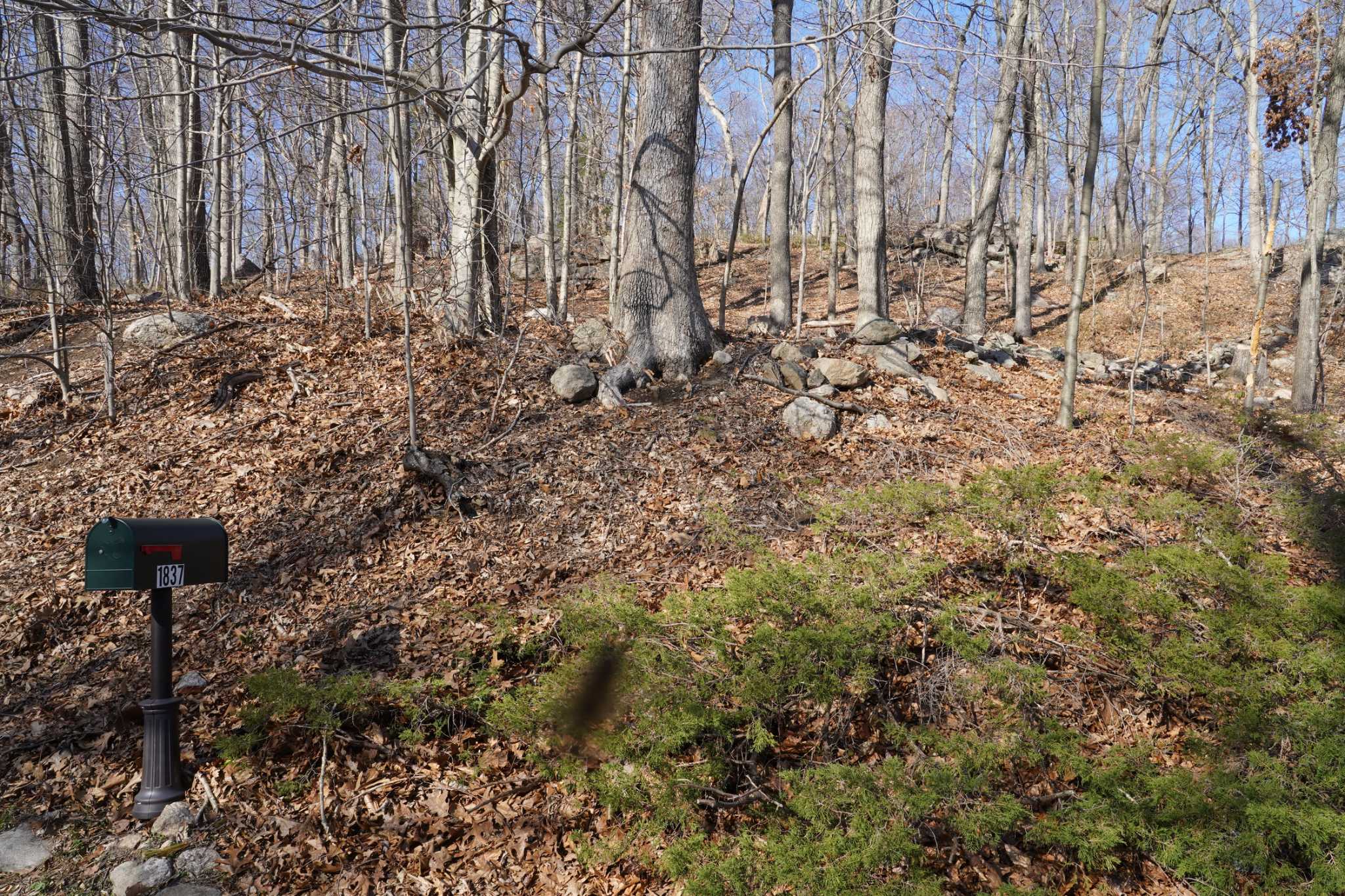 In New Canaan, a balloon test at 110 feet demonstrates cell tower's height