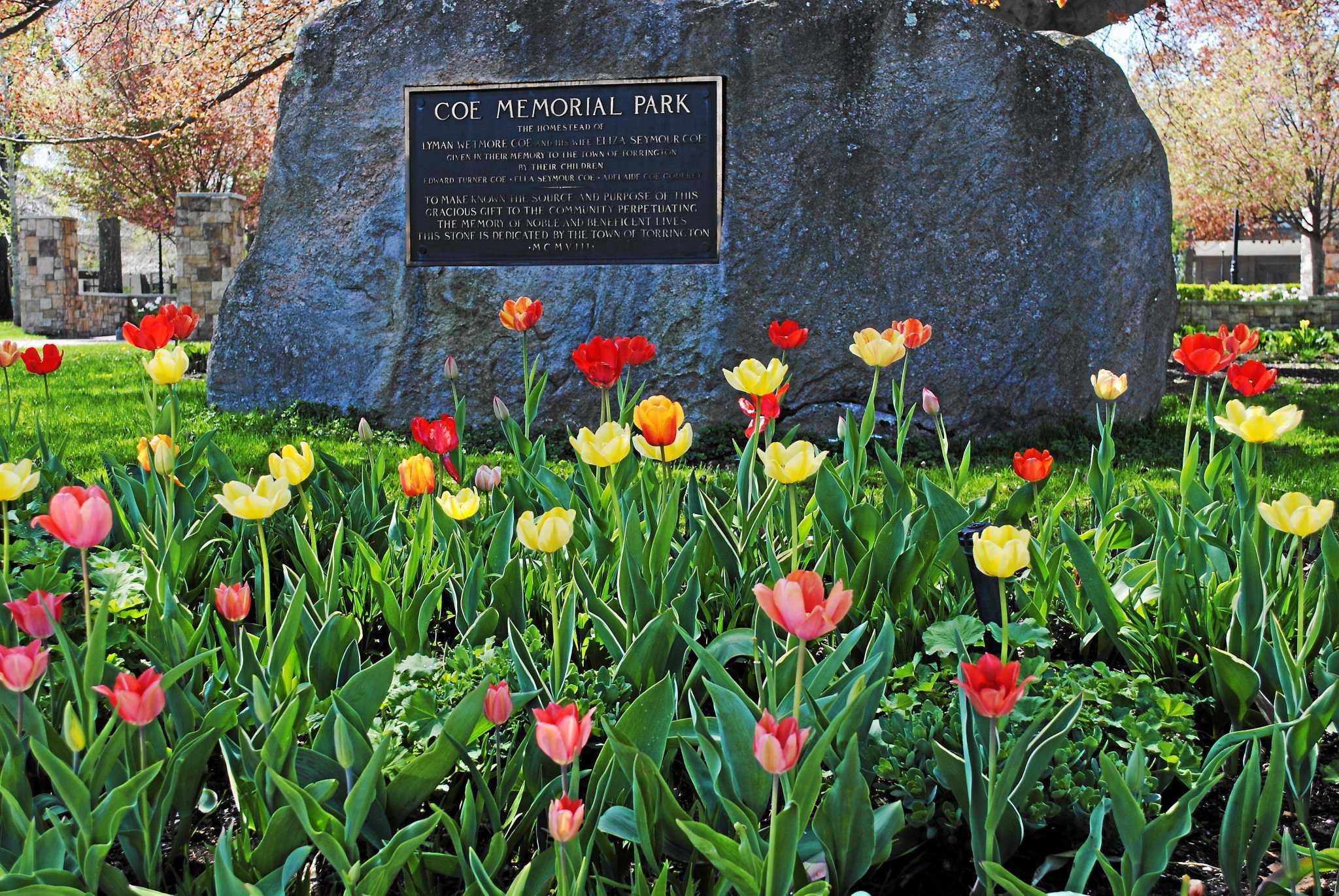 Earth Day cleanup events planned; volunteers welcome