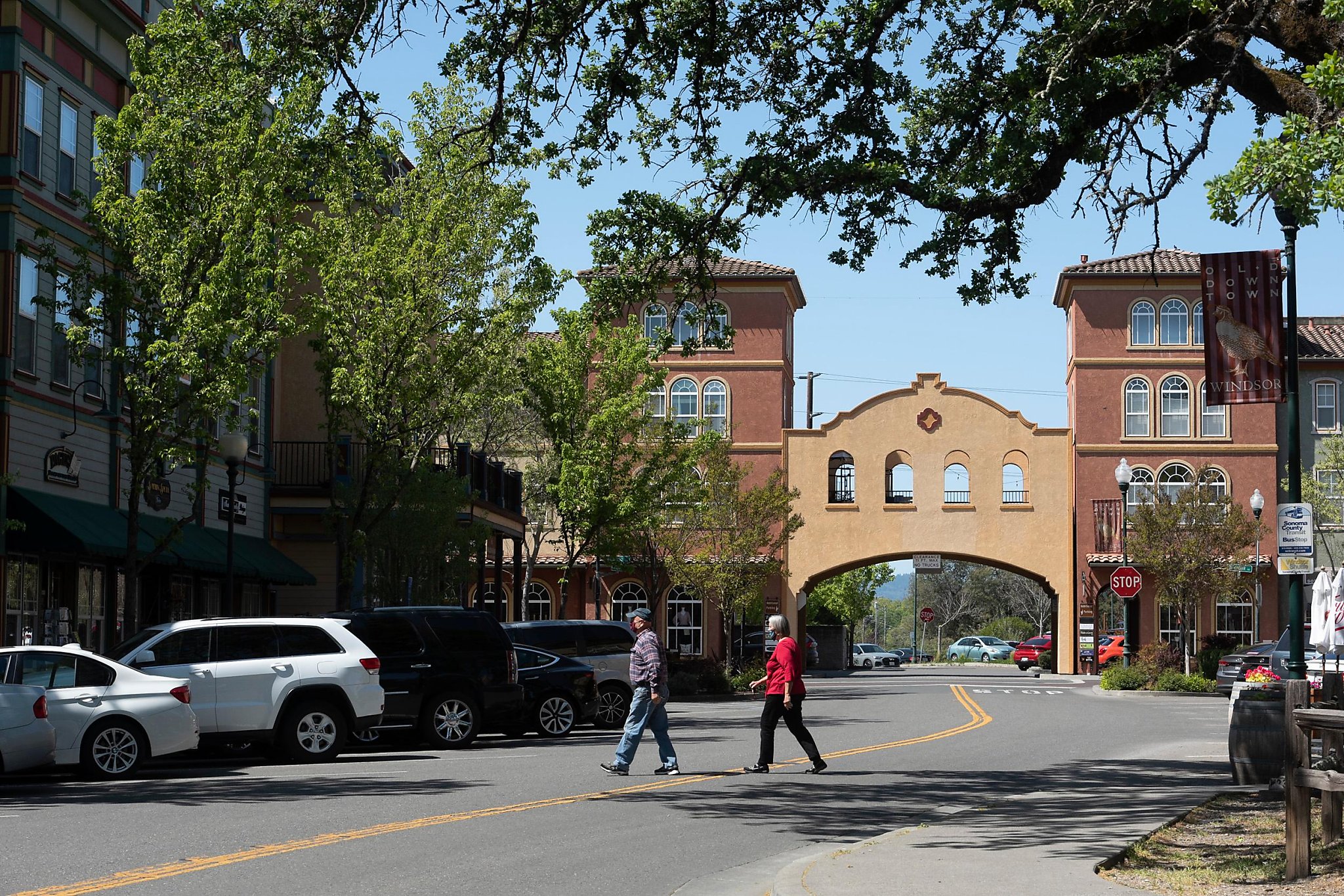 Dominic Foppoli is under investigation over sexual assault allegations ...