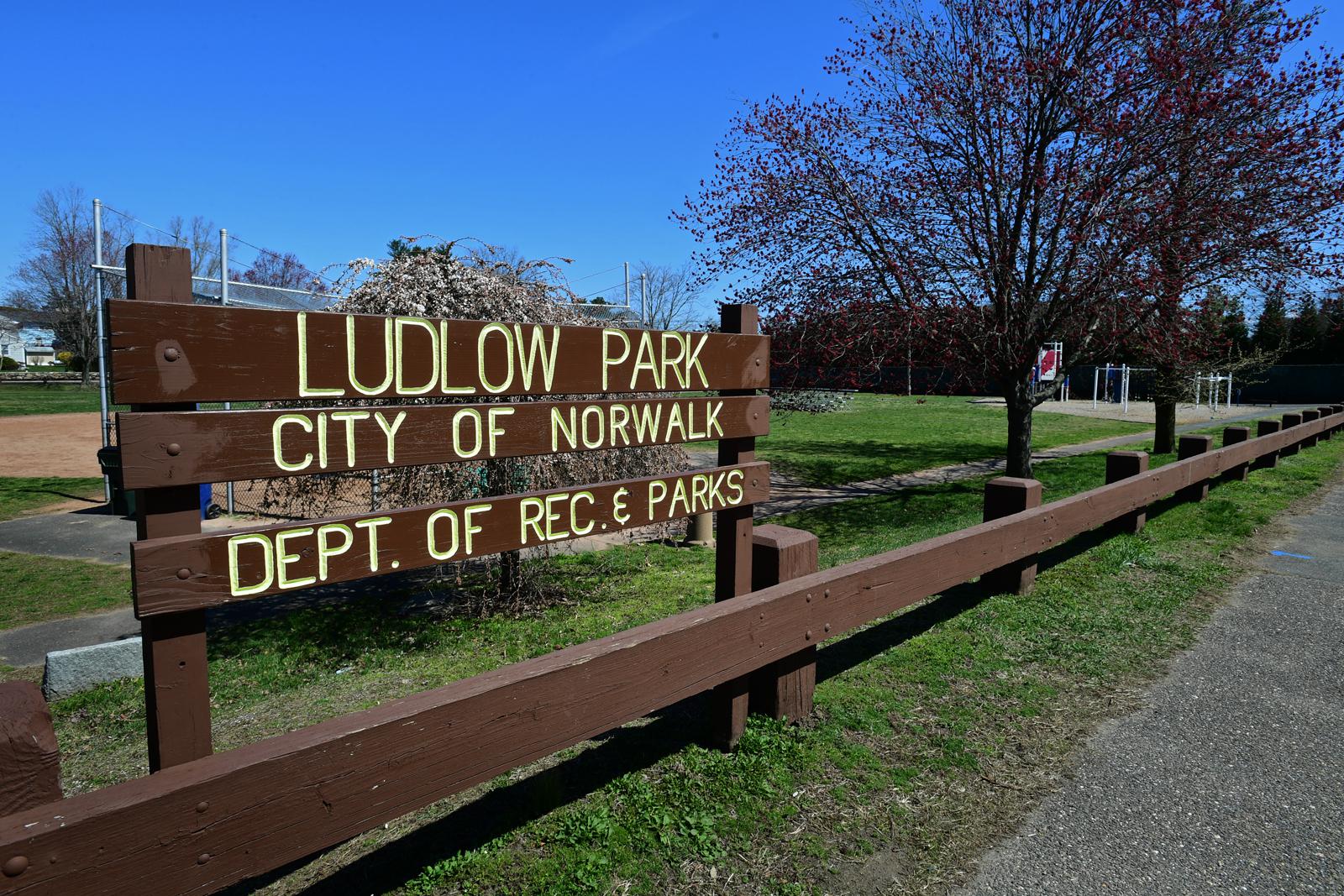 Ludlow Park in Norwalk gets new trees, bench as part of grant award