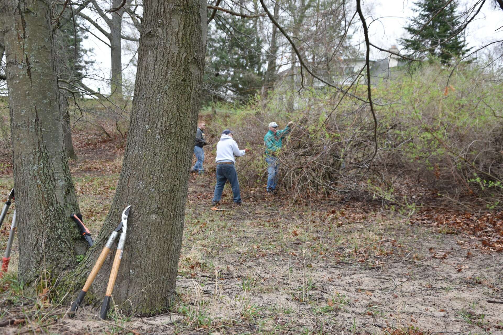 PHOTOS: Clean up day puts volunteers to work at Manistee's First Street ...