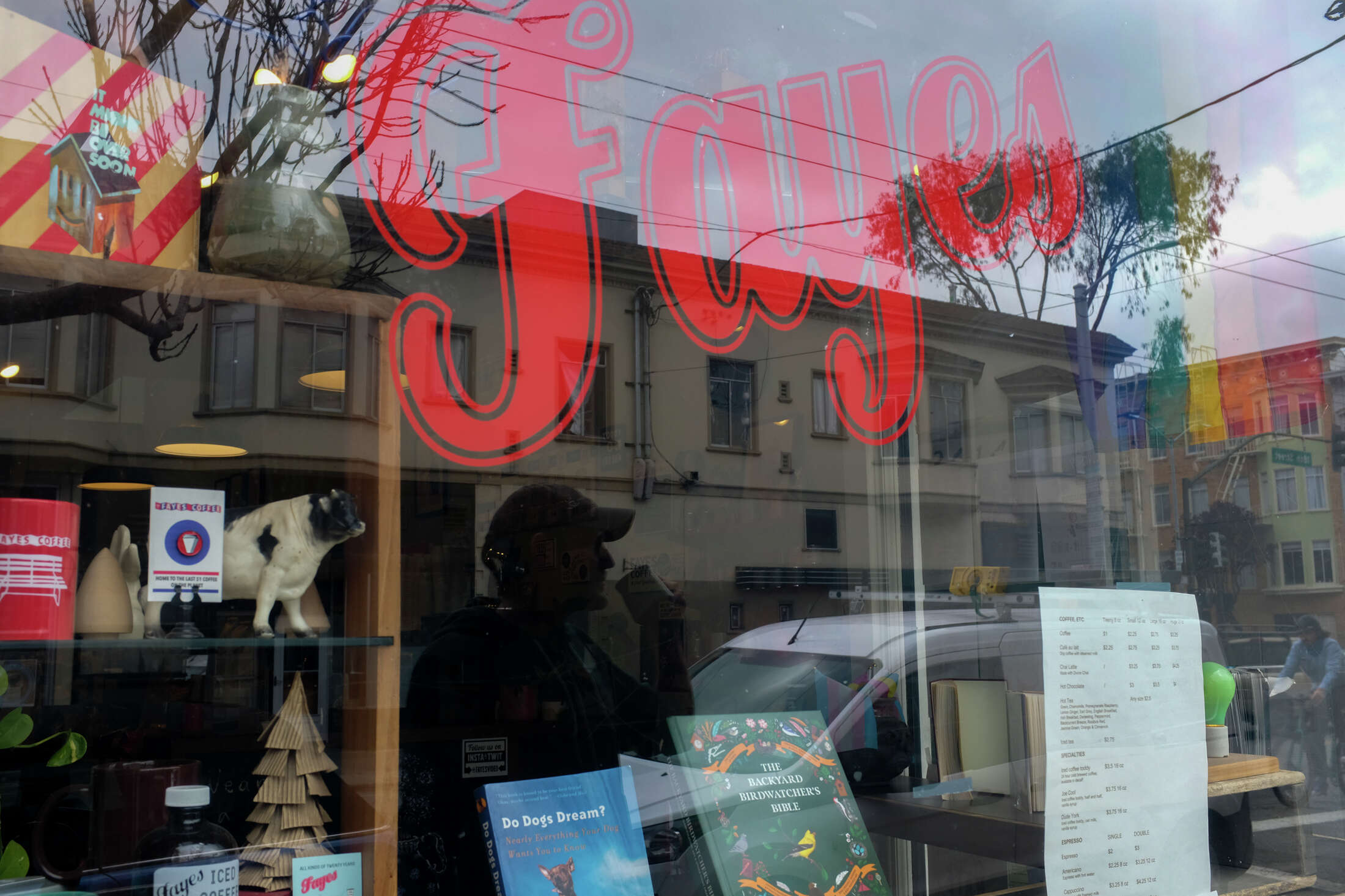 Inside Faye's: One of San Francisco's last video rental stores