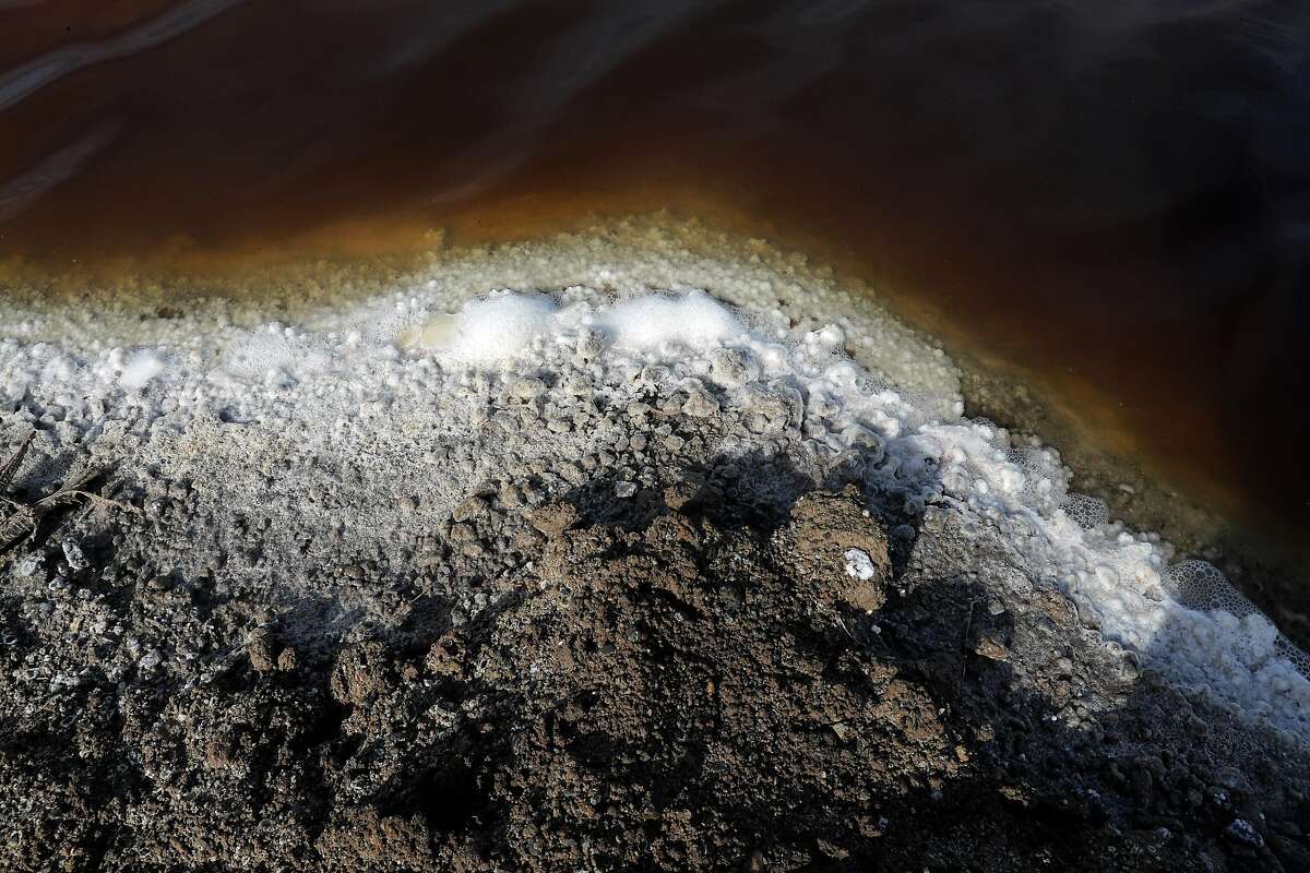 The simple local solution to sea level rise? Mud from the bottom of San ...