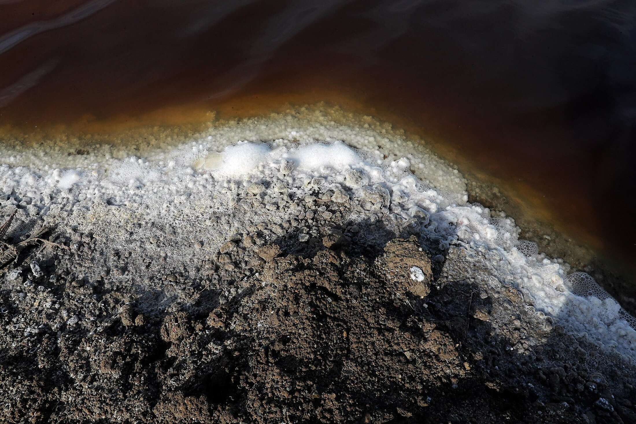 The simple local solution to sea level rise? Mud from the bottom of San ...