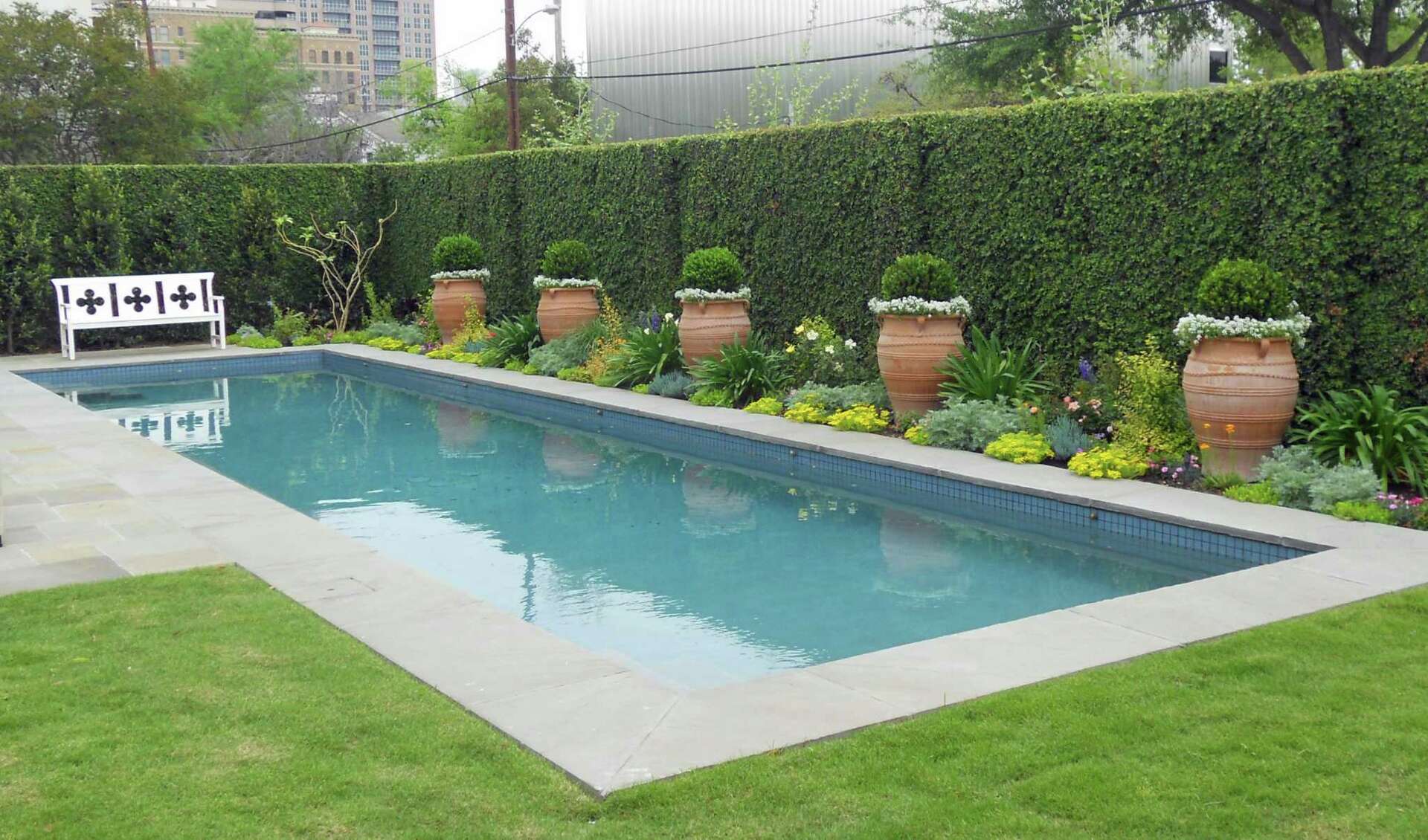 Texas A&M experts offer garden advice about hedges and ground cover