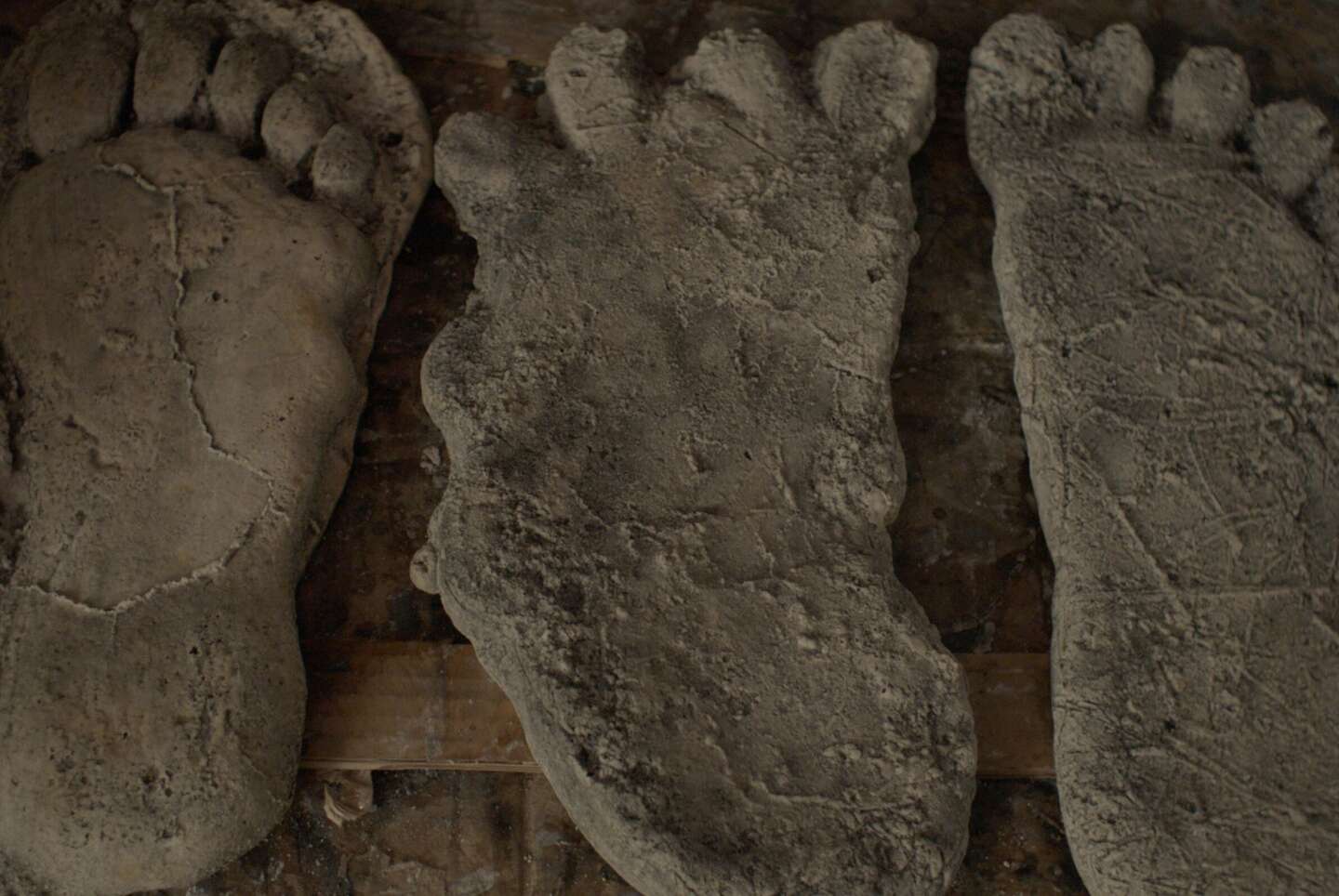 Hulu true crime doc 'Sasquatch' investigates whether Bigfoot murdered ...