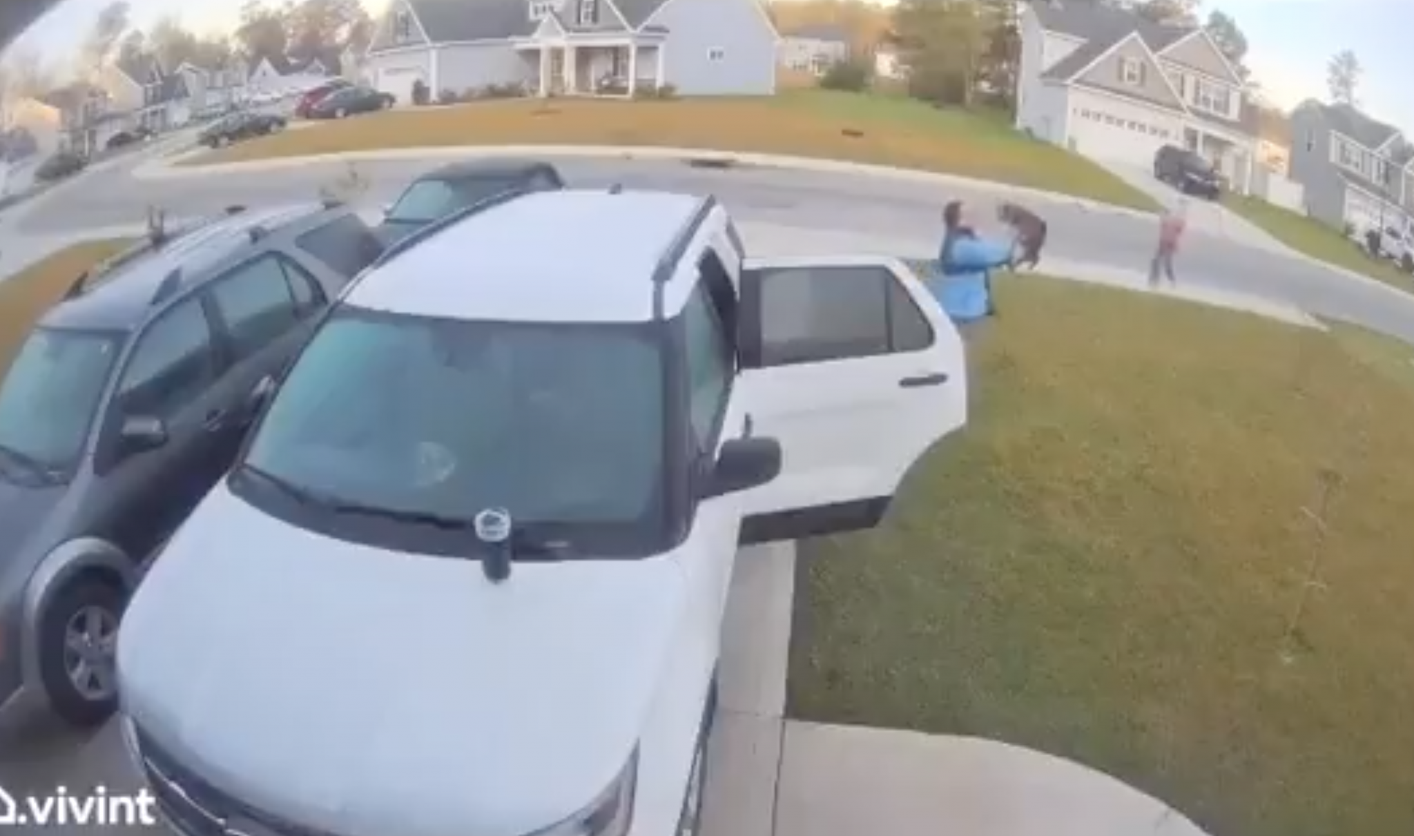 All hail Bobcat Wife Guy, king of the digital wife-havers