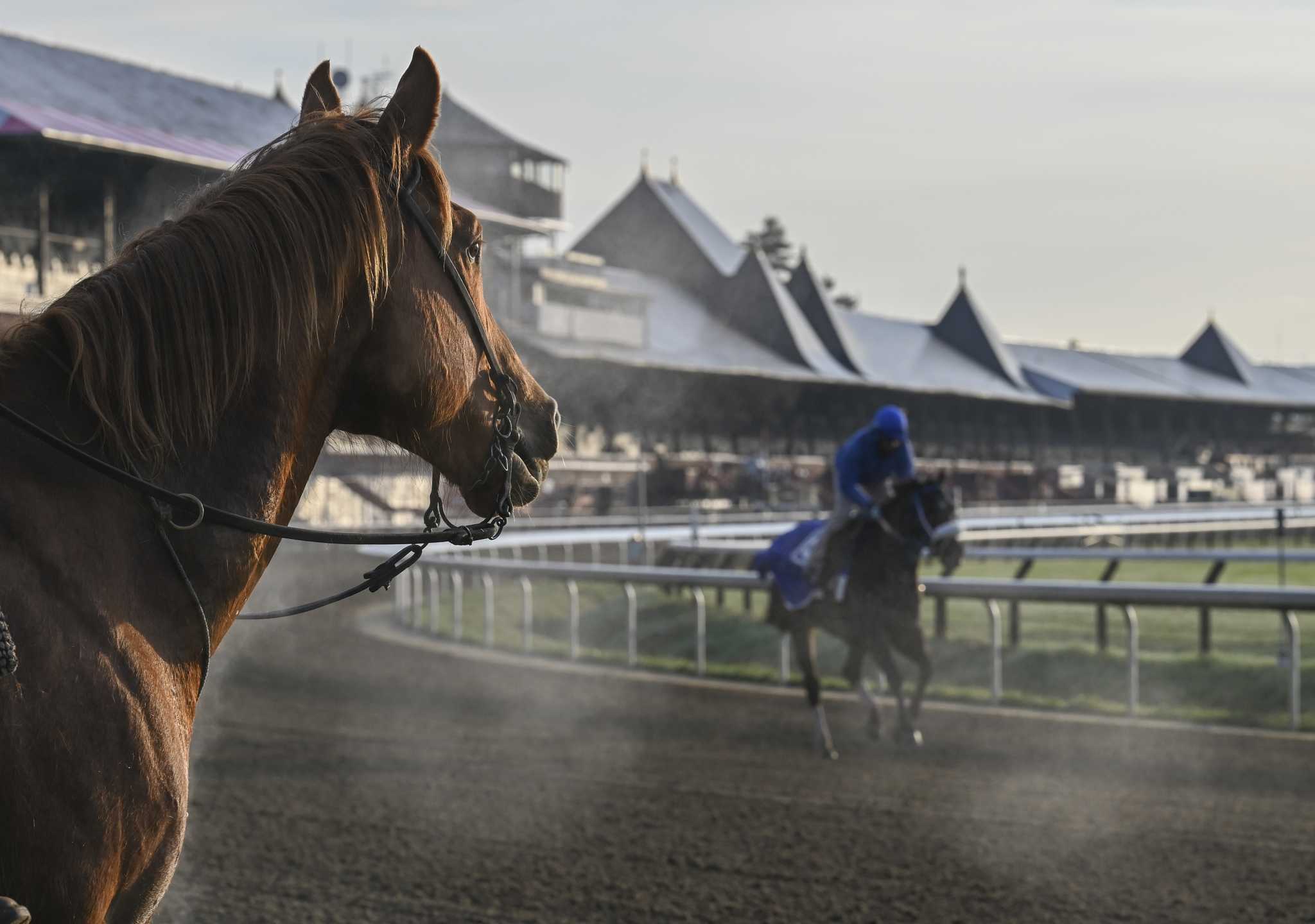 Racehorse slaughter banned in New York