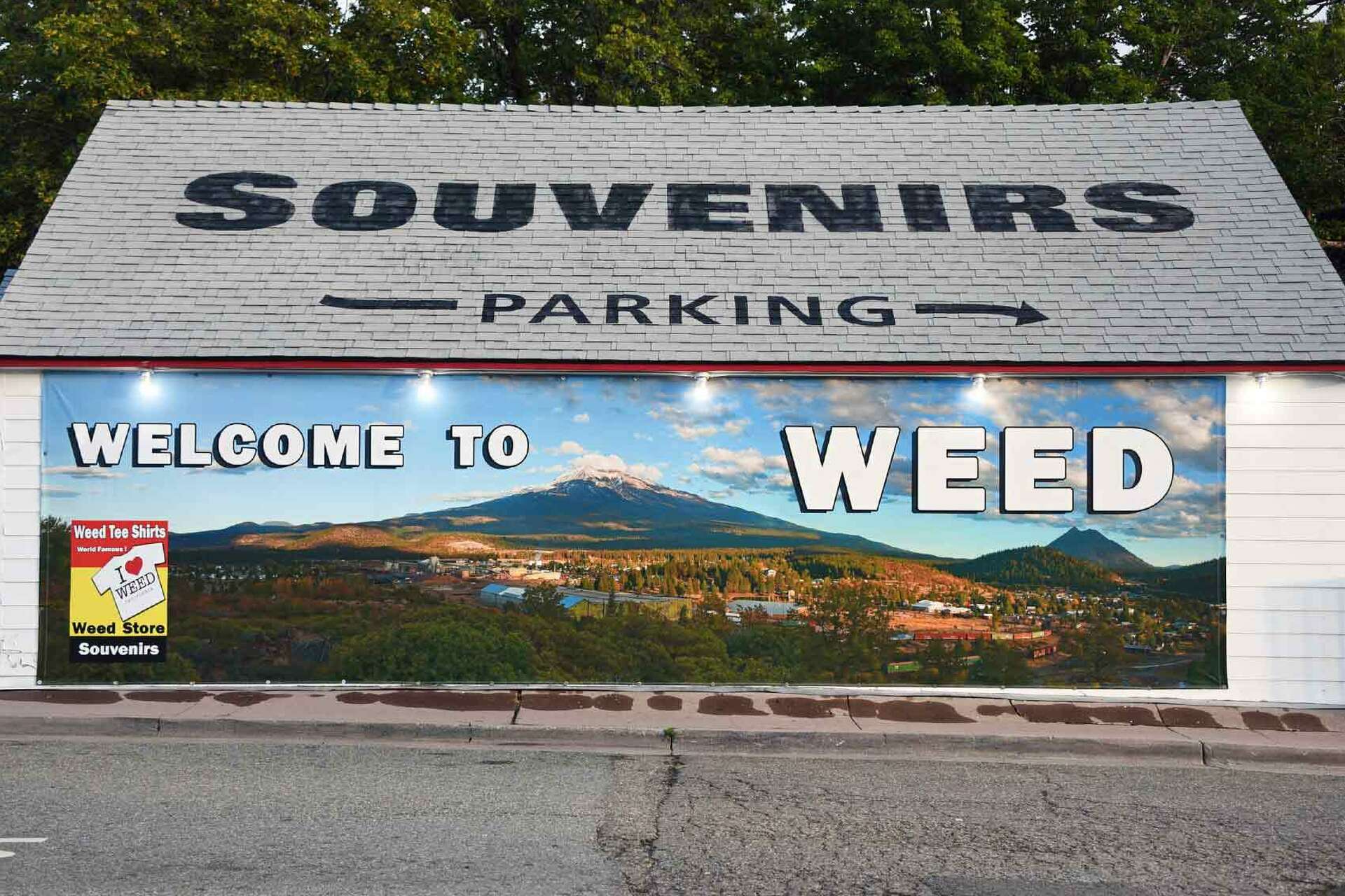 What it’s like to live in Weed, the historic Northern California ...
