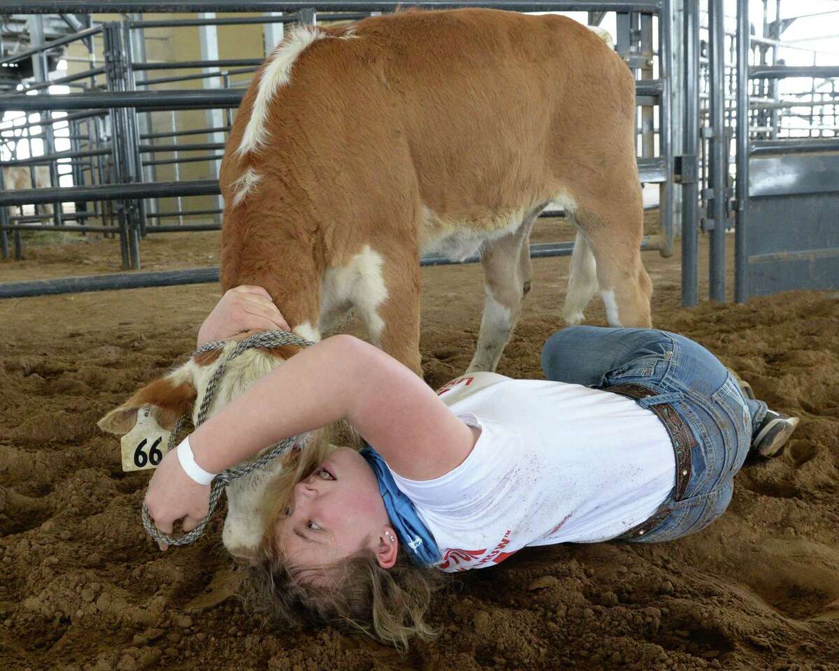 As show must go on, RodeoHouston calf scramble comes to Katy