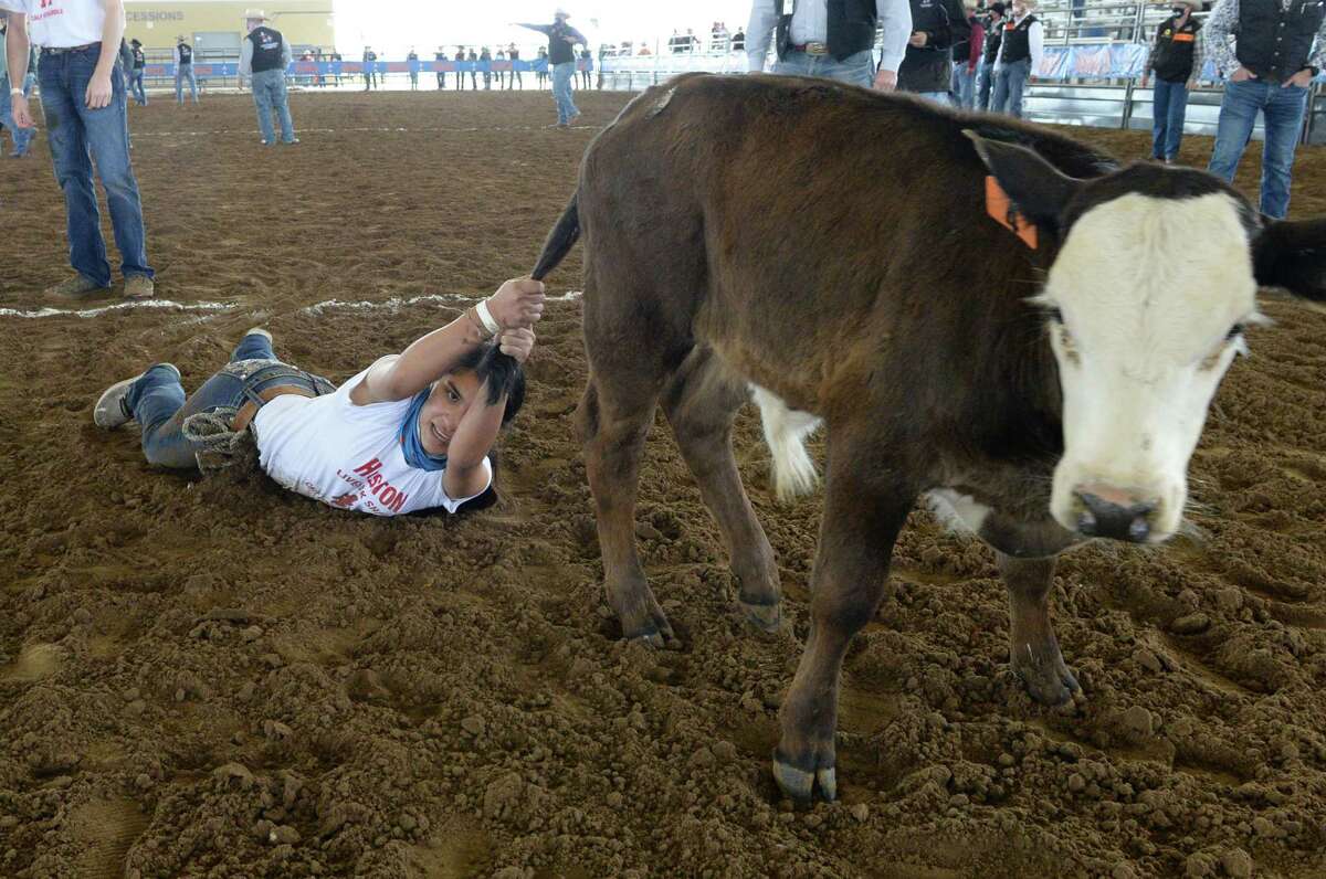 As show must go on, RodeoHouston calf scramble comes to Katy