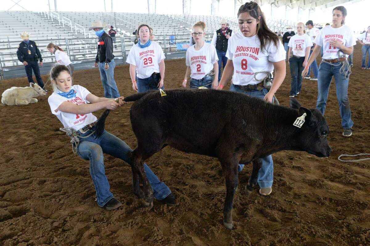 As show must go on, RodeoHouston calf scramble comes to Katy