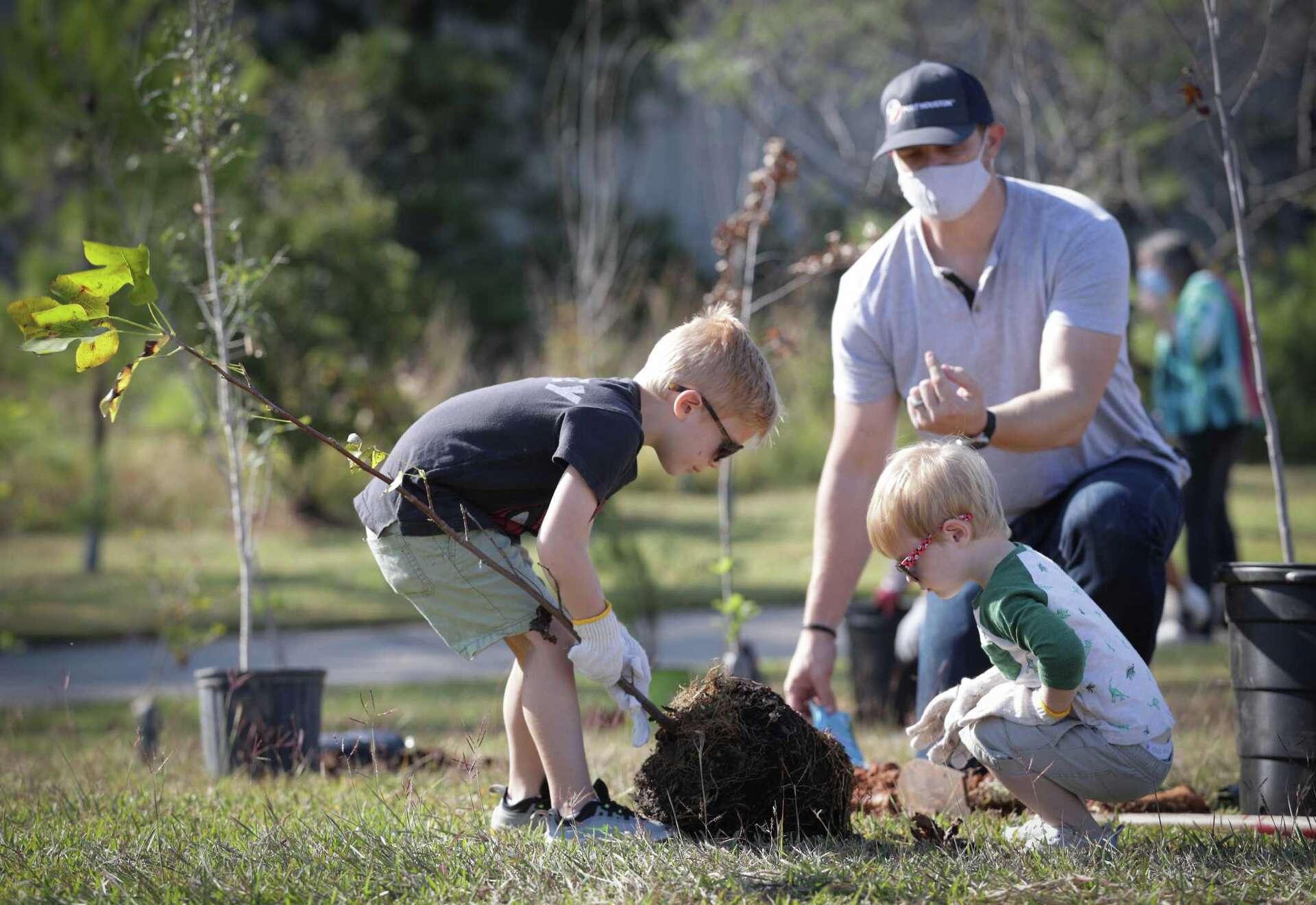 Friday is Arbor Day, here's how to take care of trees around your home