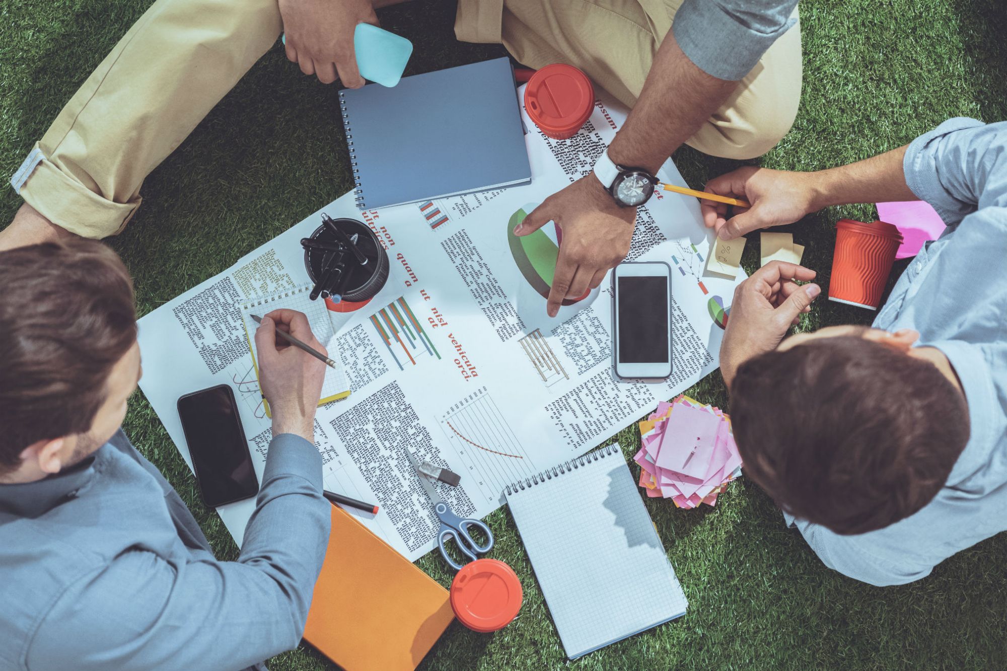 Action plan: 6 effective steps to do it without making mistakes