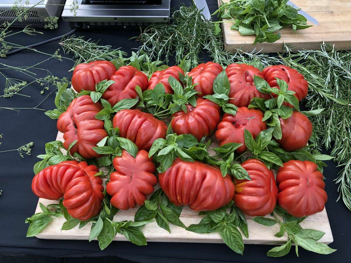 ‘Every other tomato is bullsh*t’ : Meet NY’s prized produce