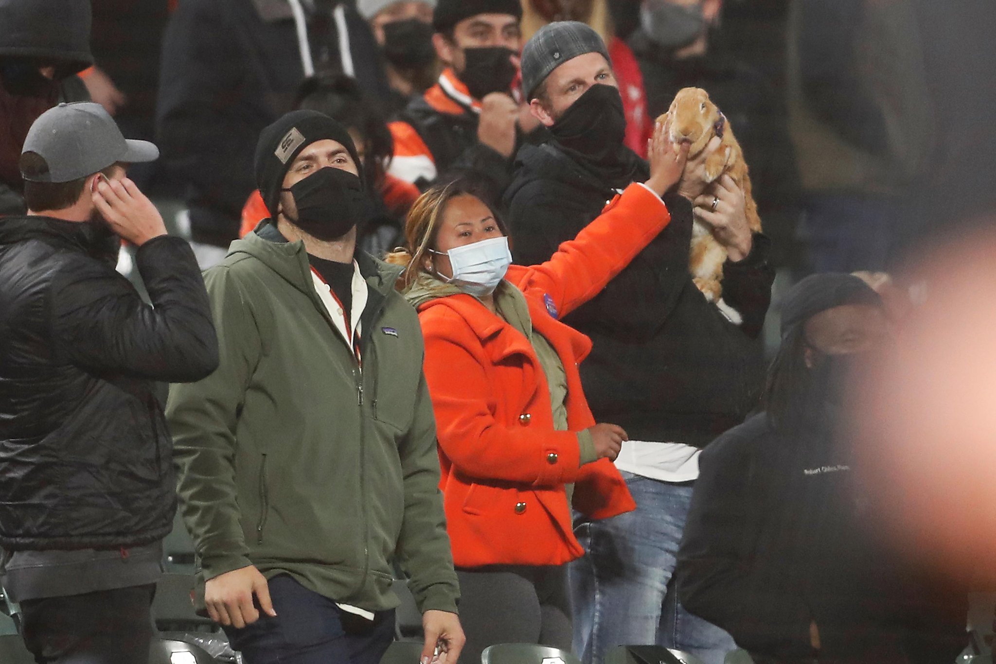 Giants’ Rally Rabbit latest four-legged sidekick in Bay Area baseball ...