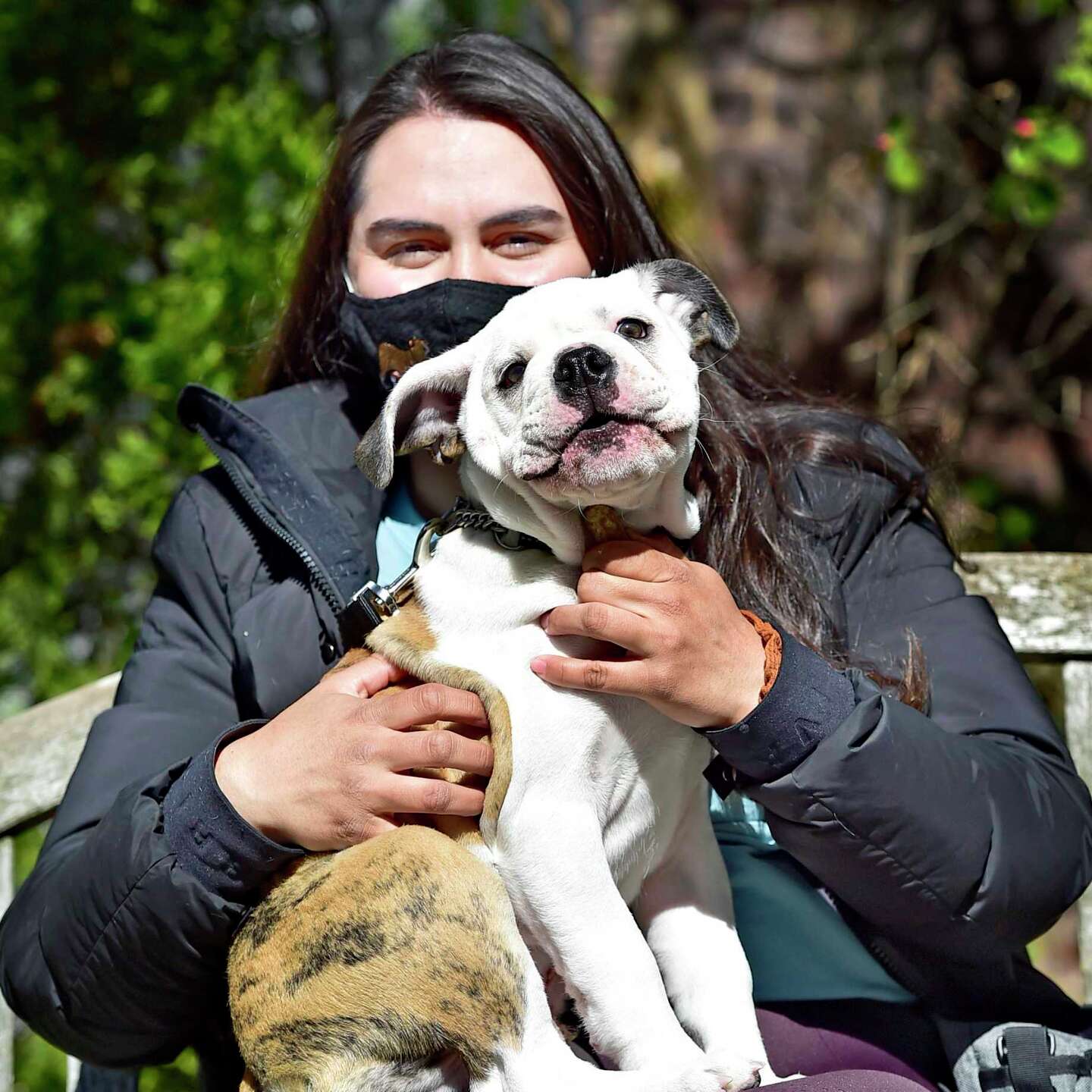 Meet Yale’s new Handsome Dan: ‘He absolutely knows he’s a star’