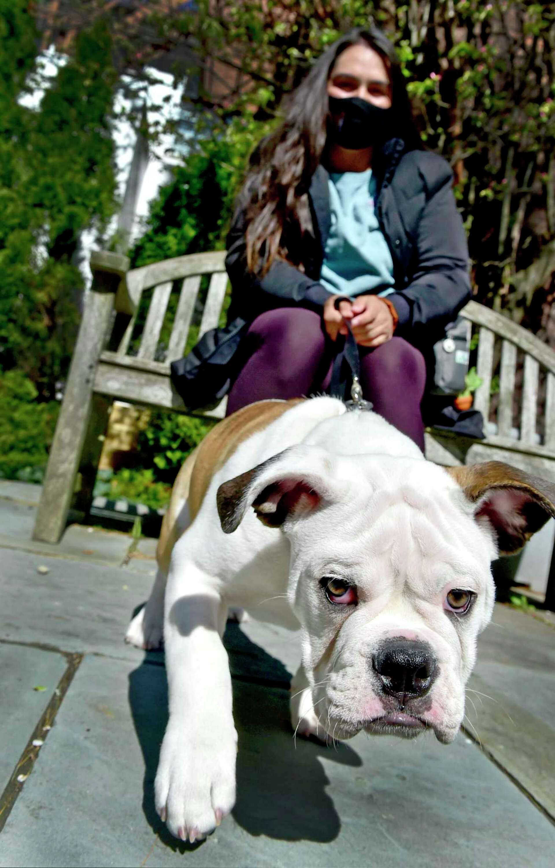 Meet Yale’s new Handsome Dan: ‘He absolutely knows he’s a star’