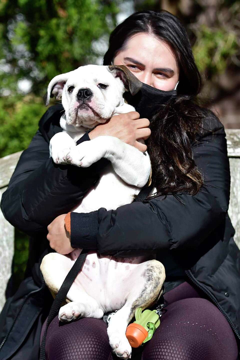 Meet Yale’s new Handsome Dan: ‘He absolutely knows he’s a star’