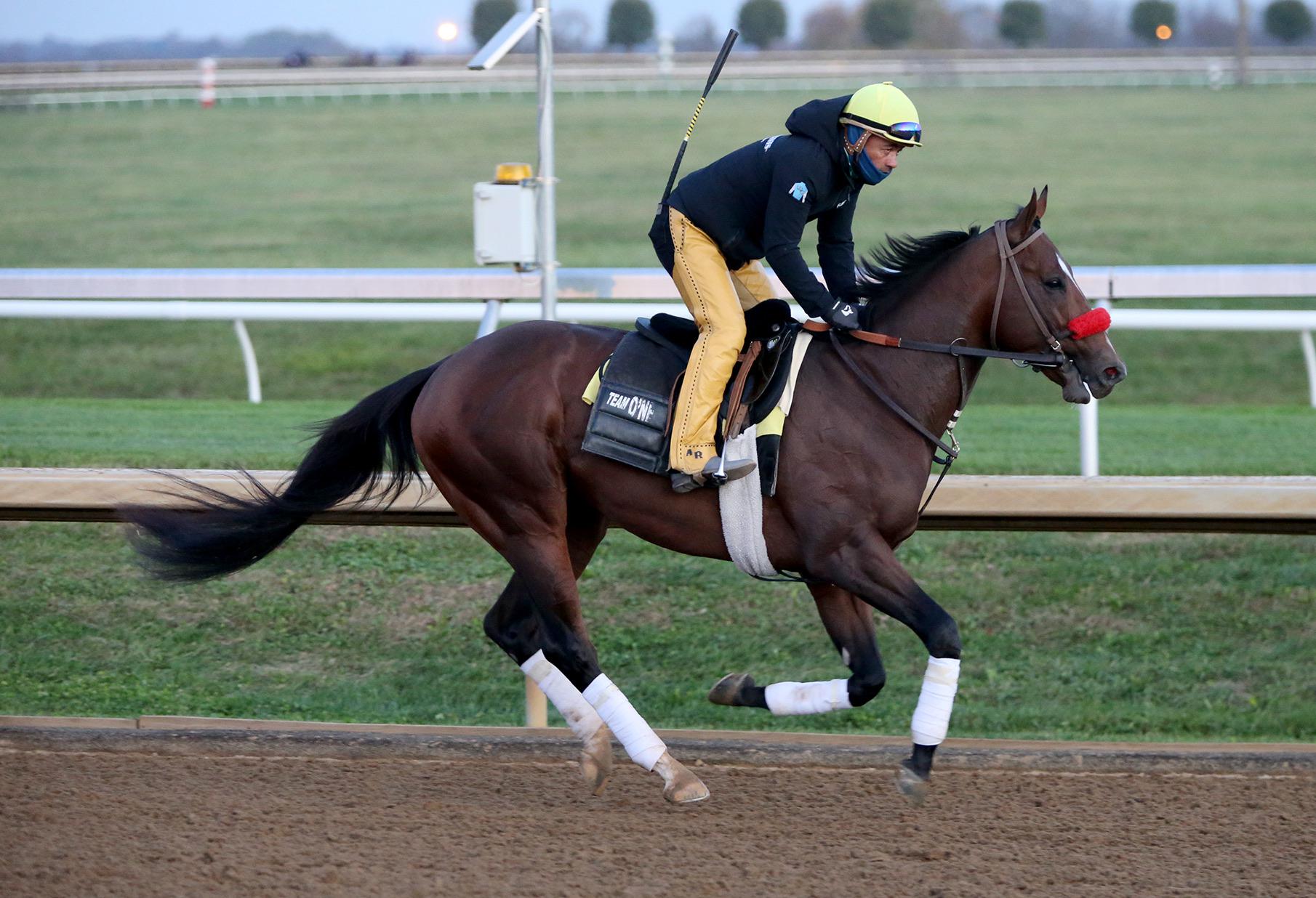 The Houston connection behind Kentucky Derby contender Hot Rod Charlie