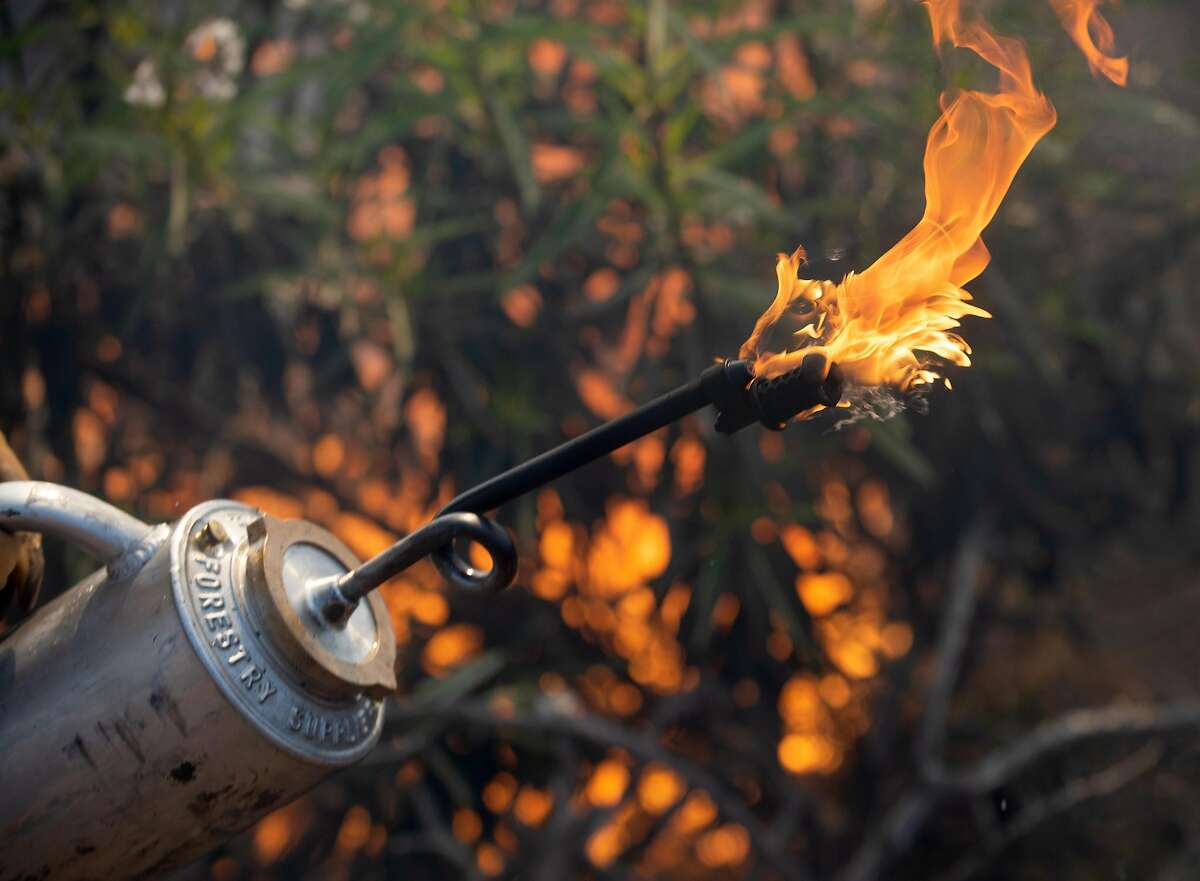 Burn it first. That deprives wildfires of the fuel they need to grow ...