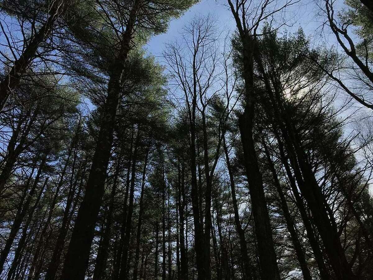 Secret Hikes: 25 CT trails to avoid the crowds