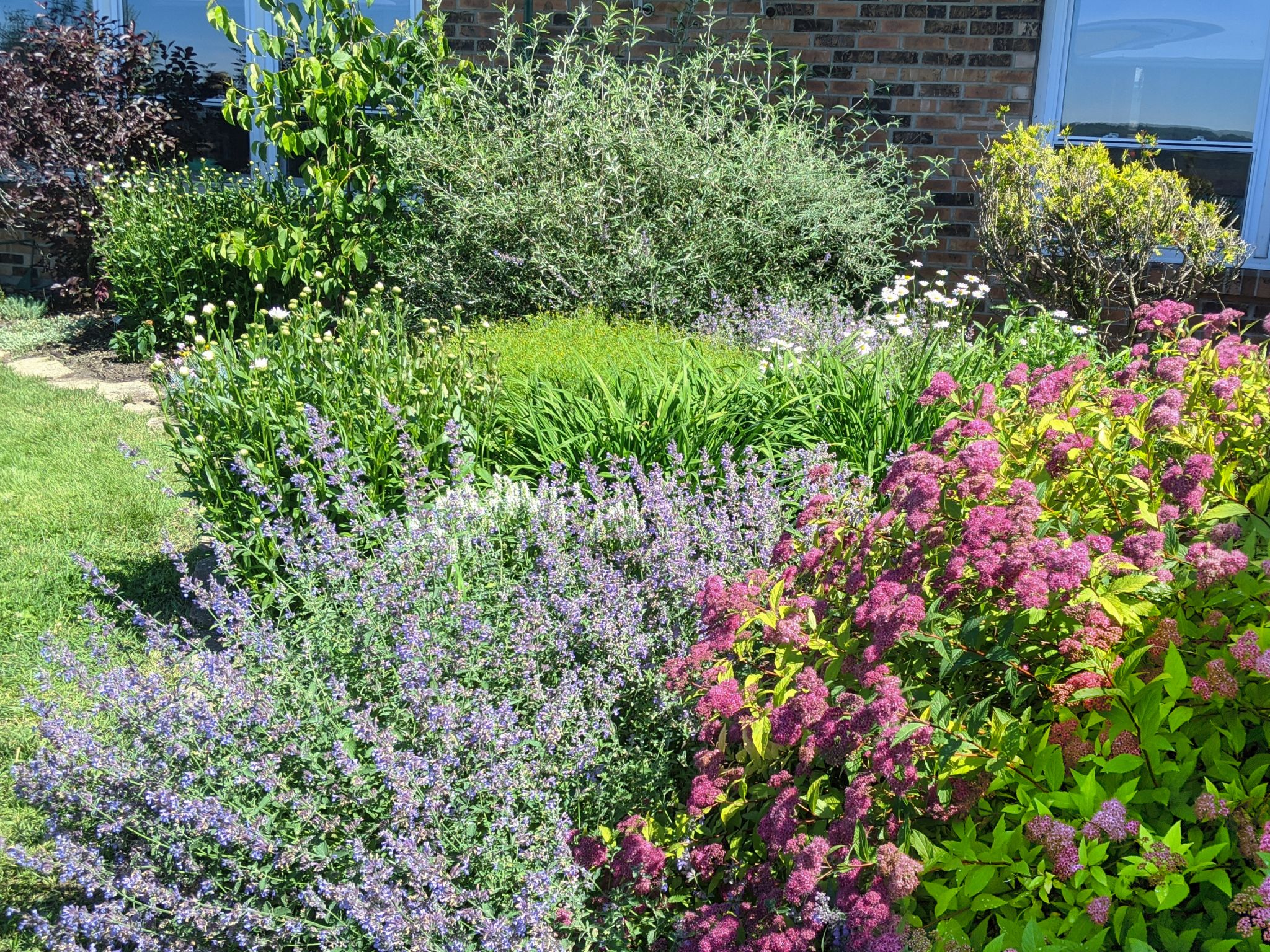Here's how to create a pollinator garden