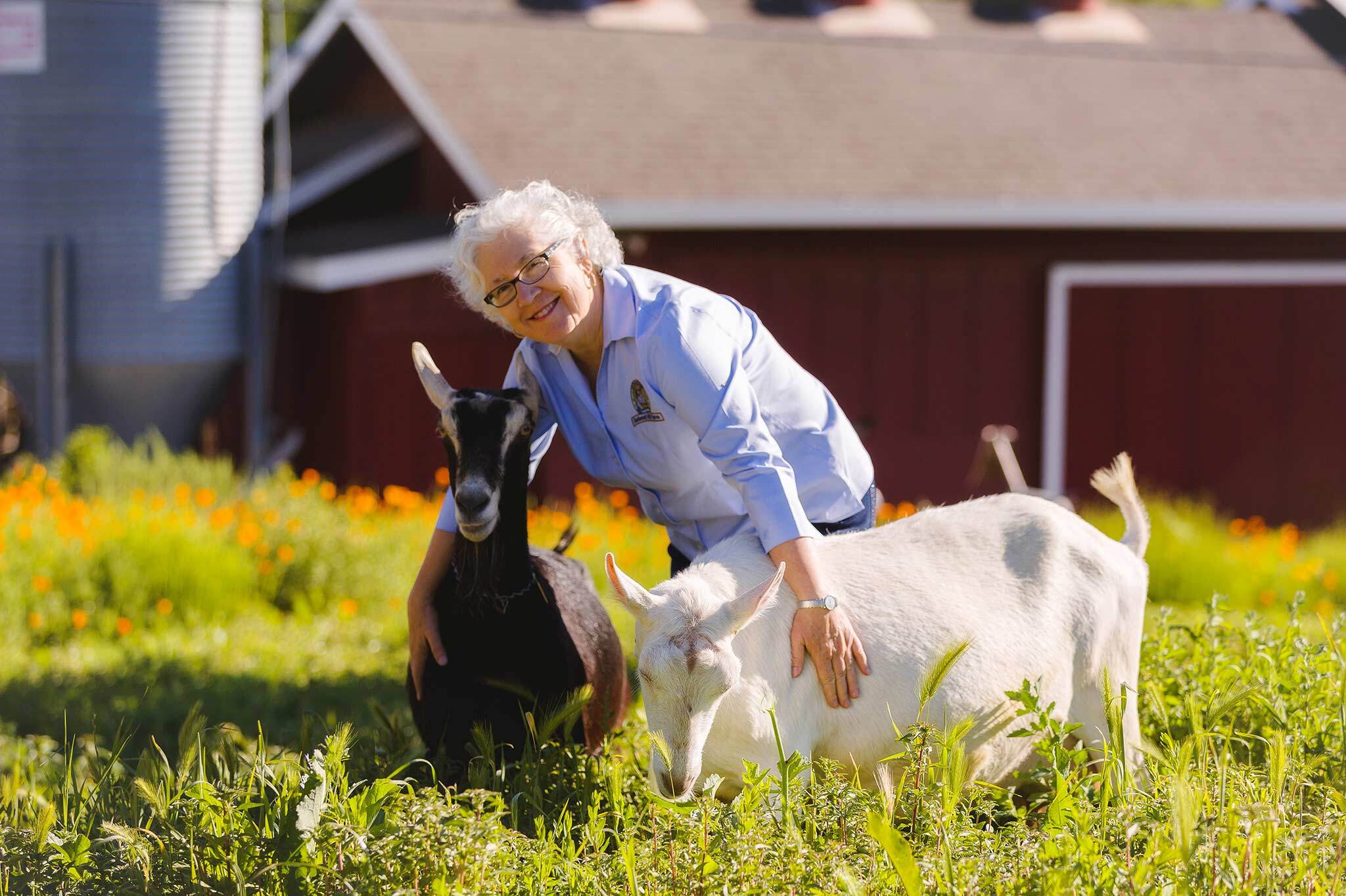 The untold story of the woman who changed California goat cheese forever