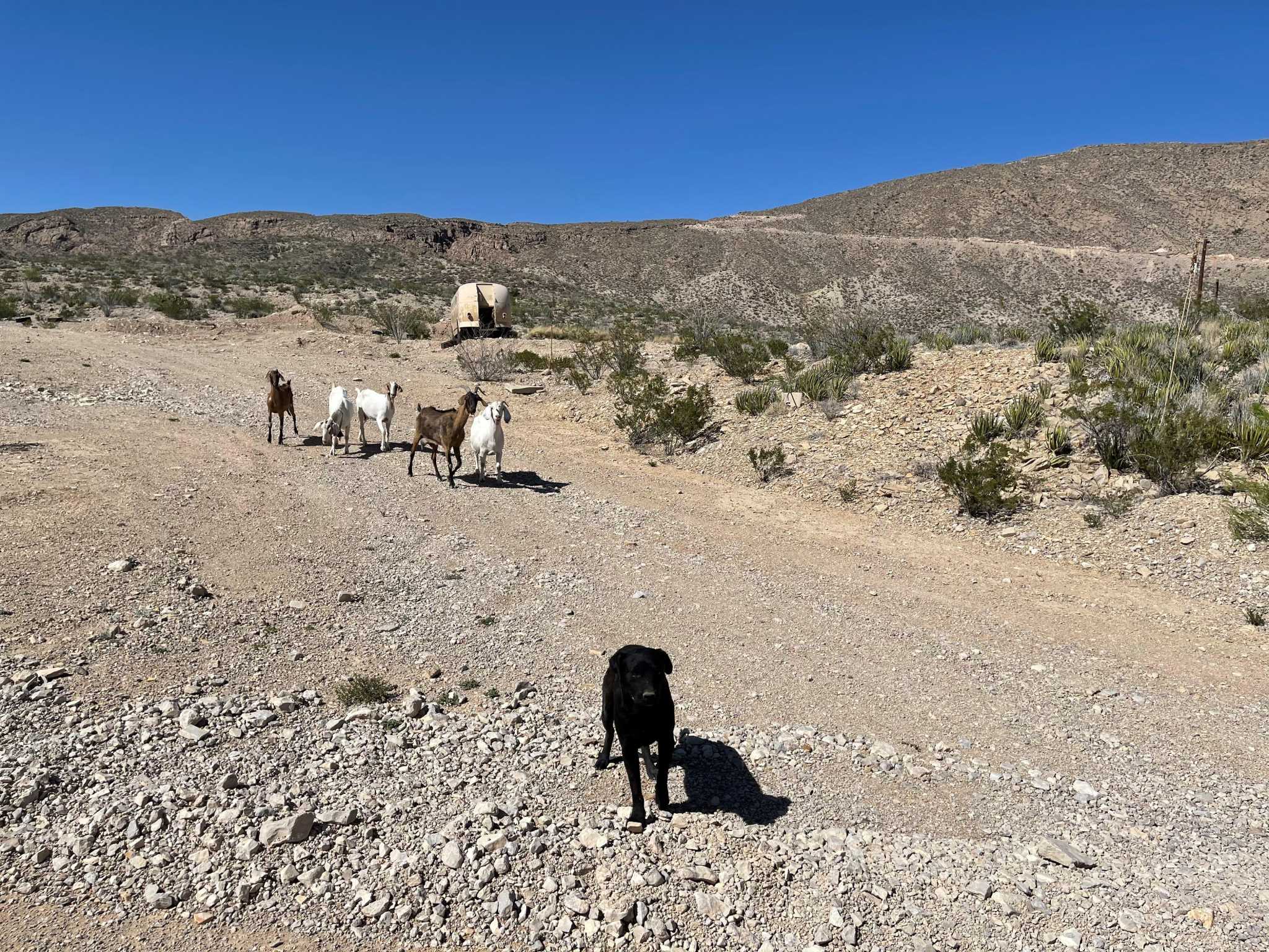 Big Bend Ranch State Park