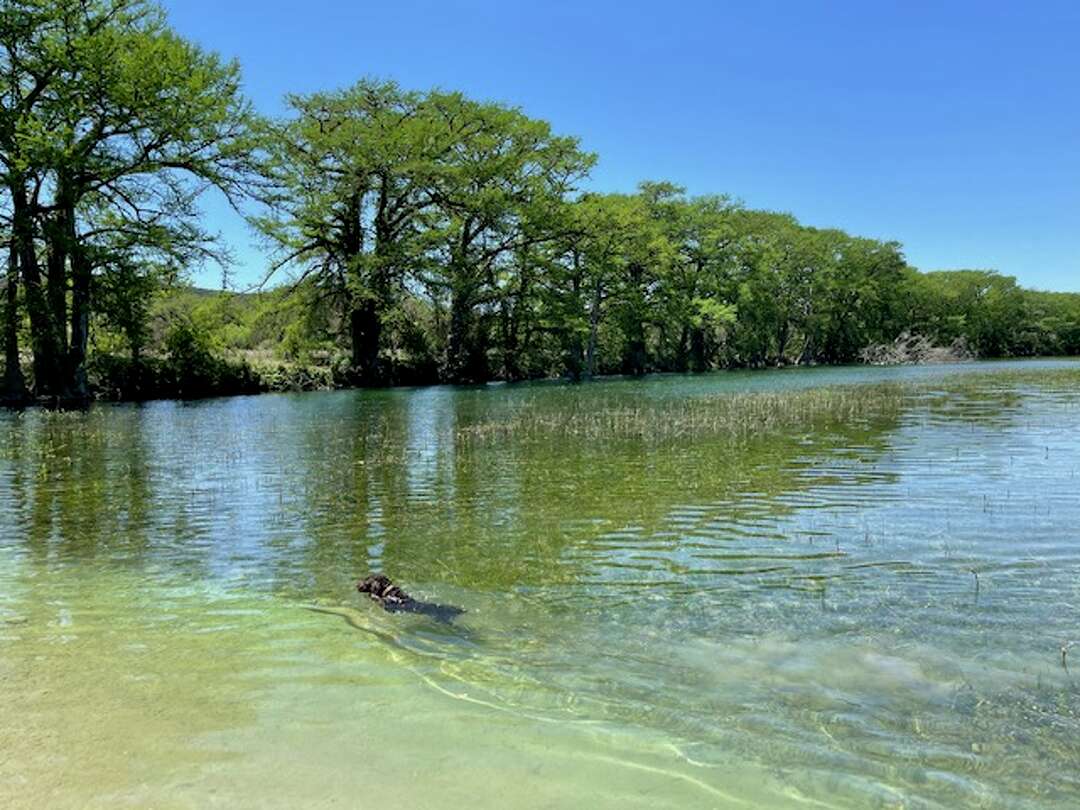 Secluded Frio River oasis offers private access to swimming holes