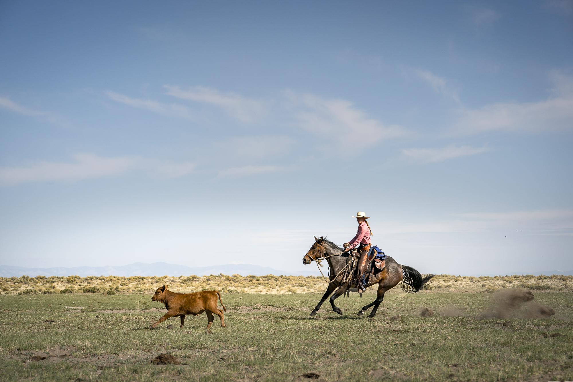 Can tourism save the American West’s ranching heritage?